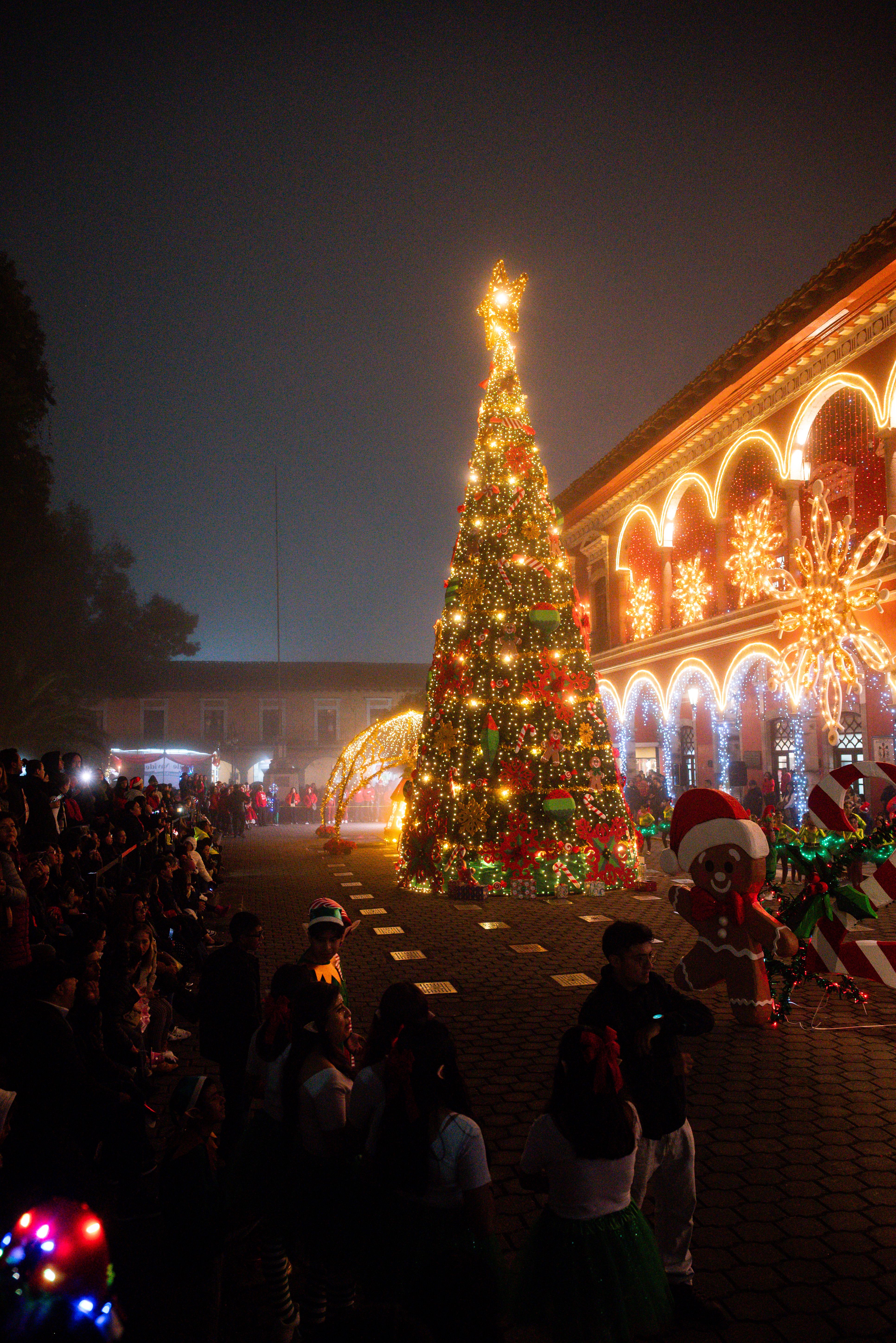Festive Christmas Market with Lit Christmas Tree · Free Stock Photo