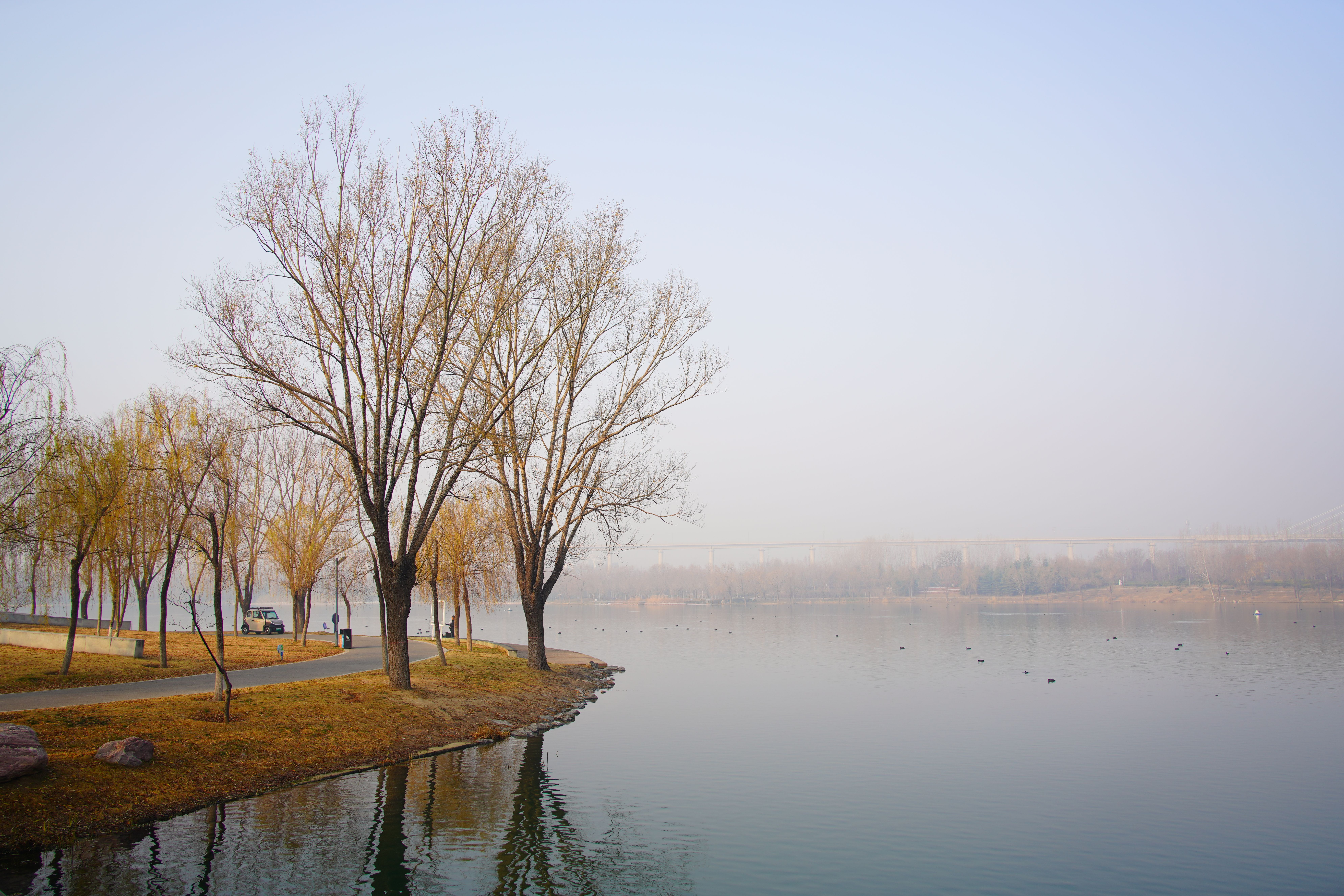 Serene Lakeside View with Bare Trees in Autumn · Free Stock Photo