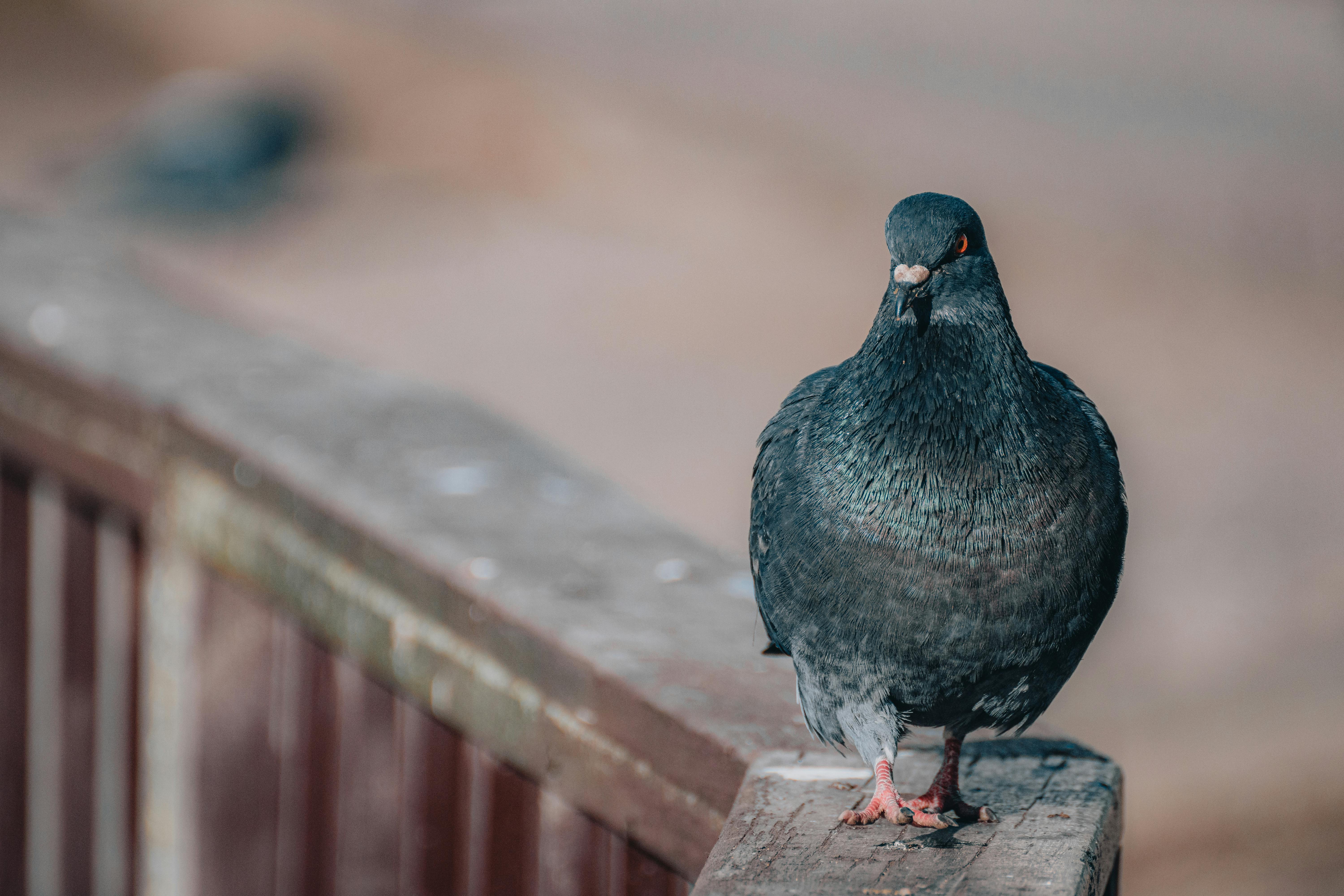 Sigma Photos, Download The BEST Free Sigma Stock Photos & HD Images