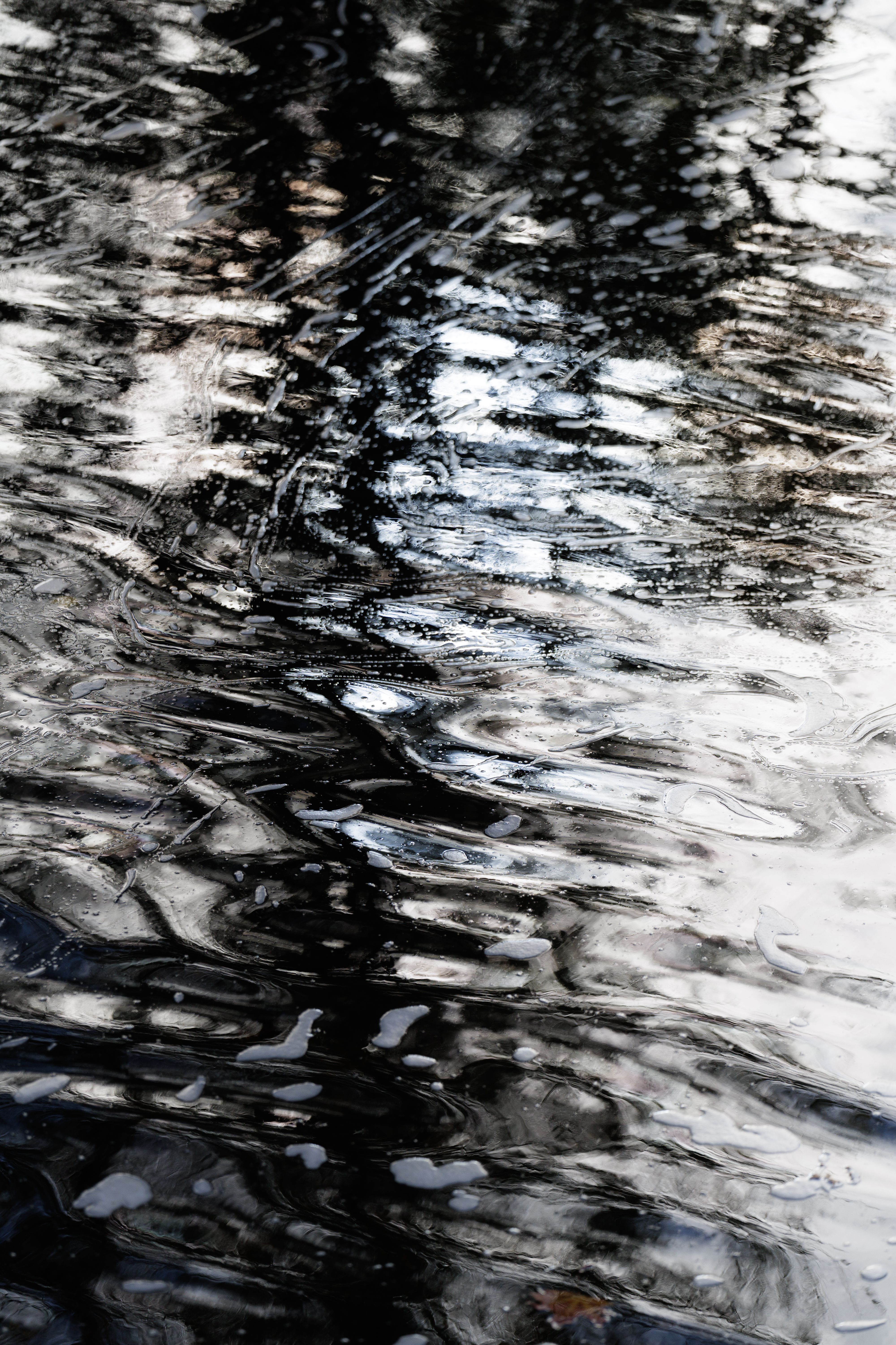 Abstract Reflections on Water Surface · Free Stock Photo