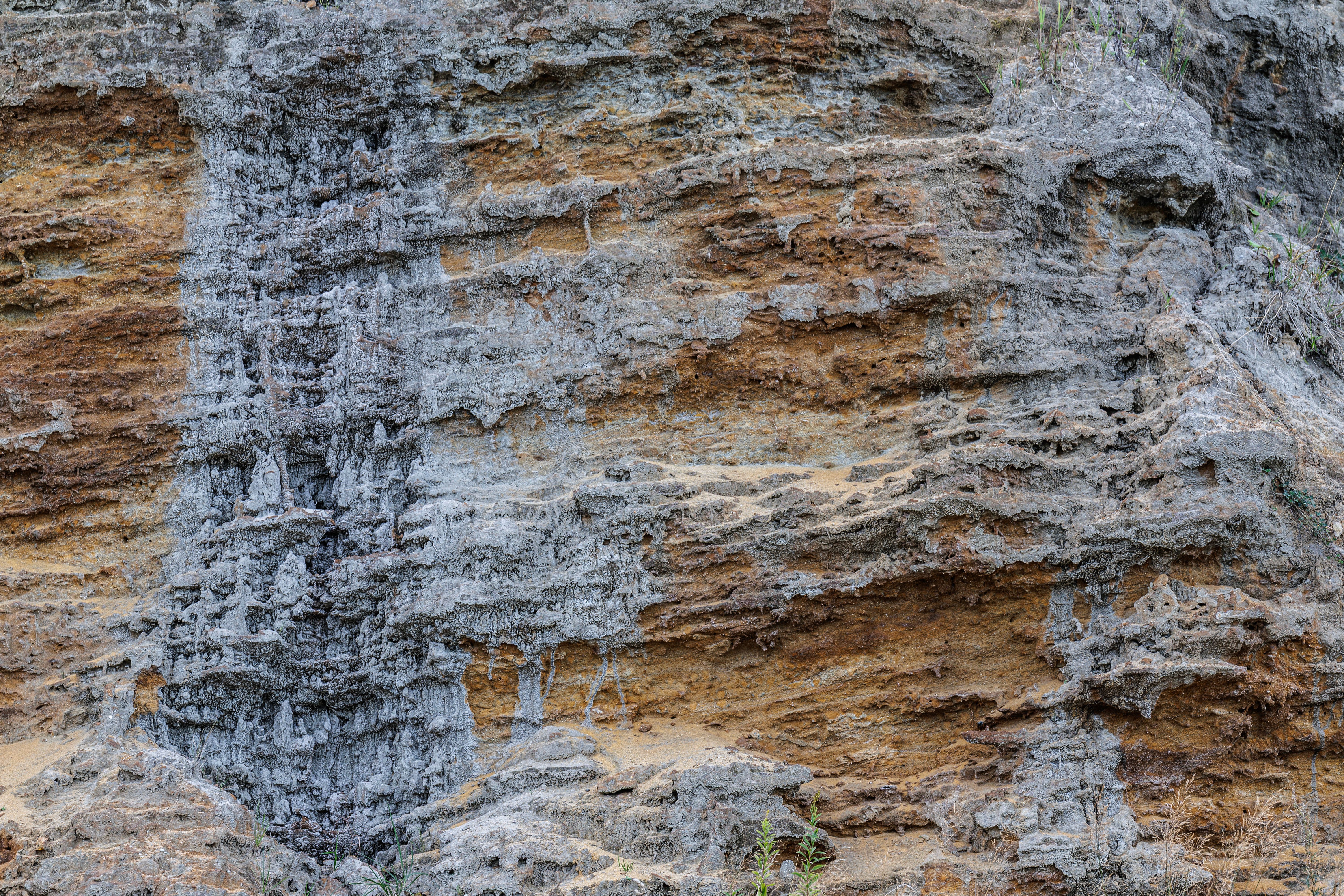 Textured Rock Formation Close-Up · Free Stock Photo