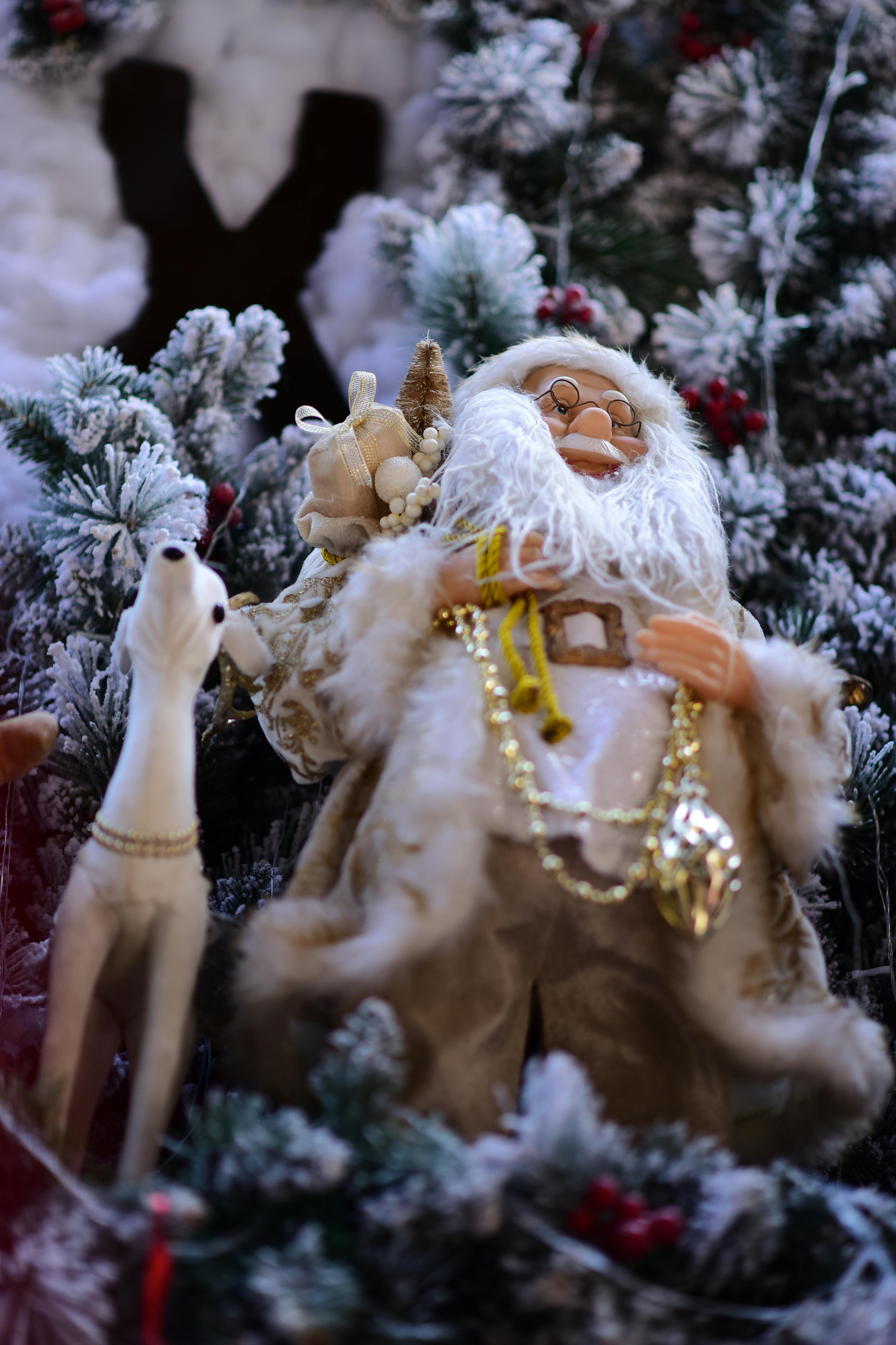 Donald Trump Santa Photos, Download The BEST Free Donald Trump Santa ...