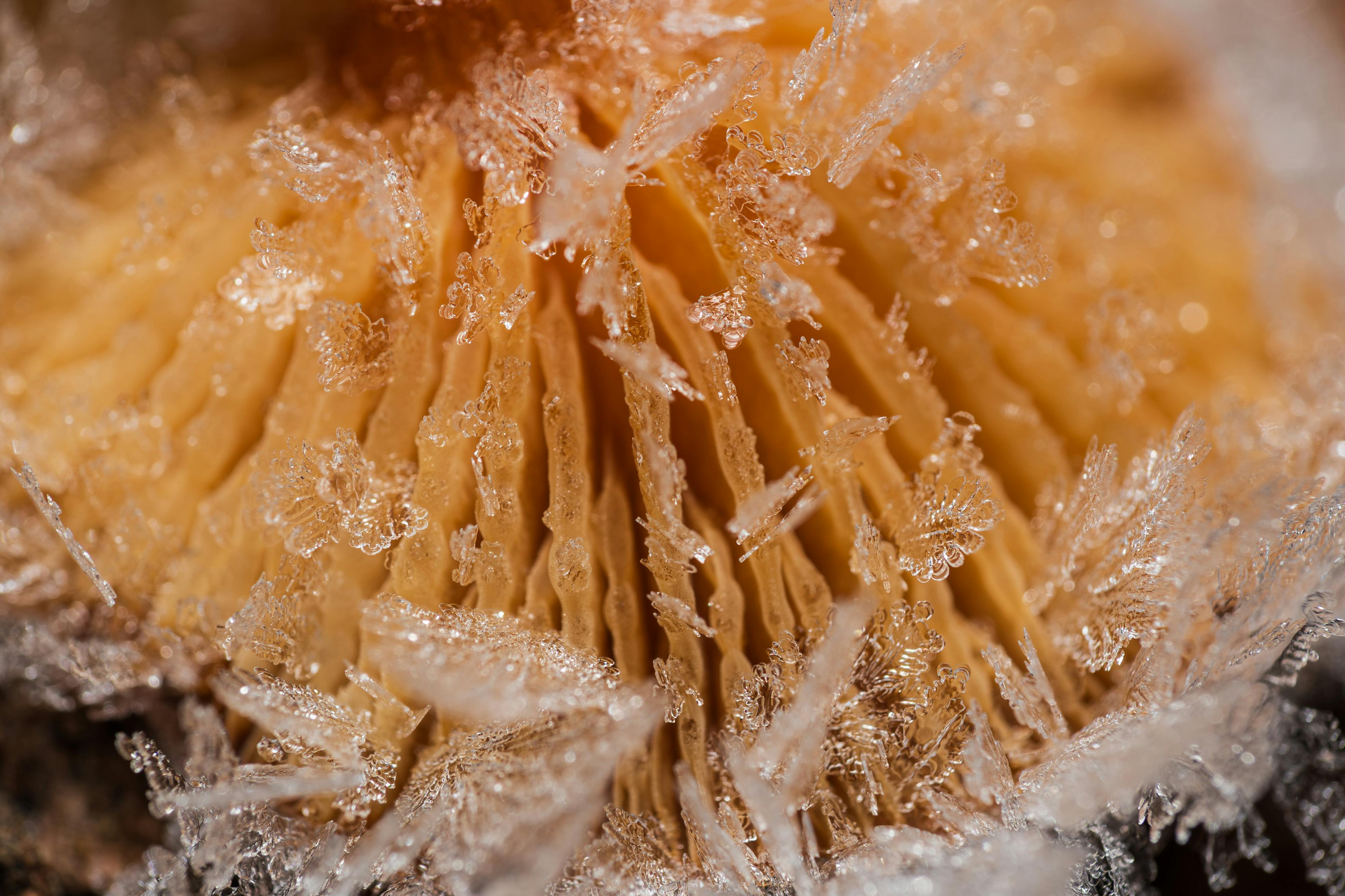 10.000+ Crystal-rae+si̇ki̇ş Bilder und Fotos · Kostenlos Downloaden ...