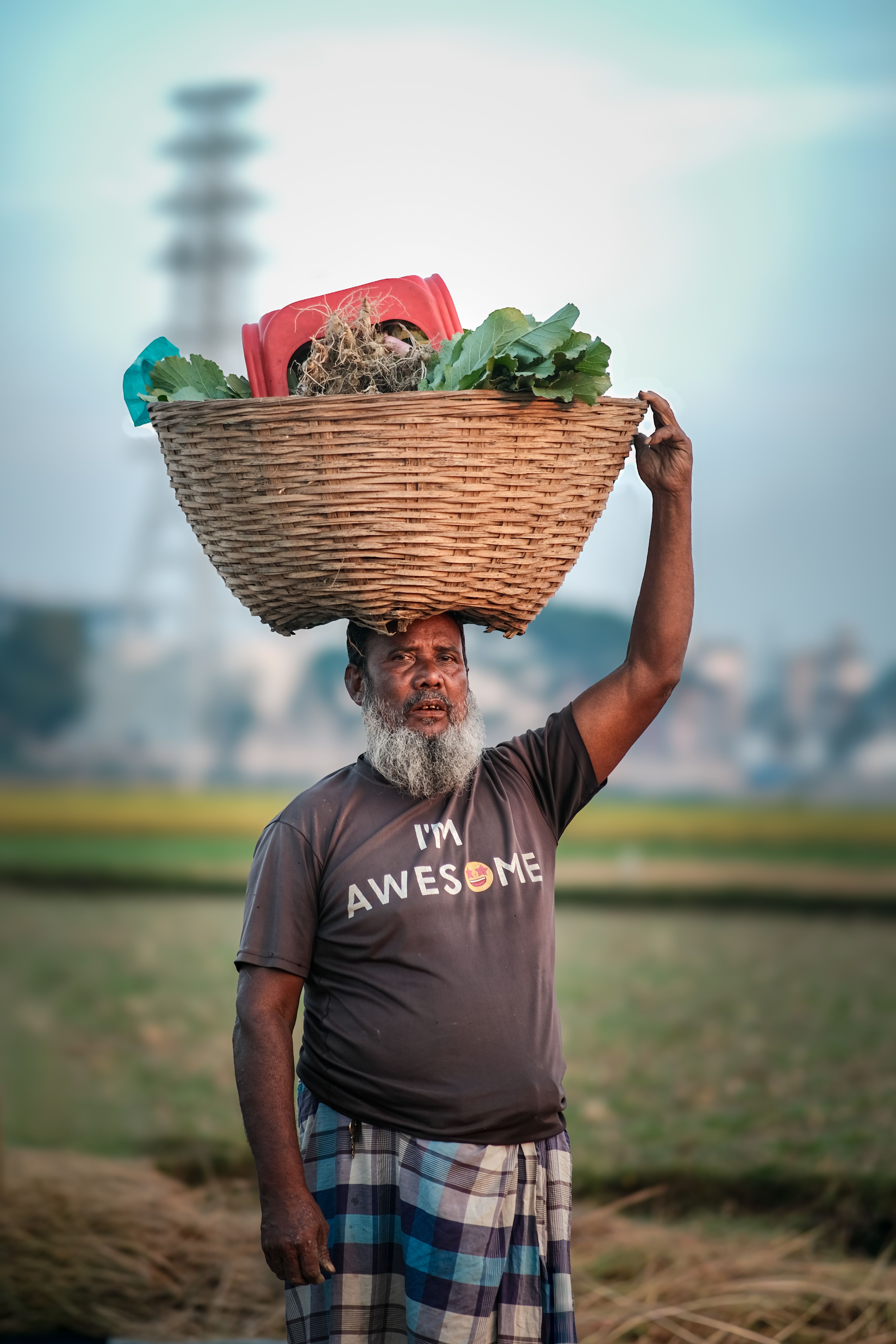Carrying Totrbag Photos, Download The BEST Free Carrying Totrbag Stock ...