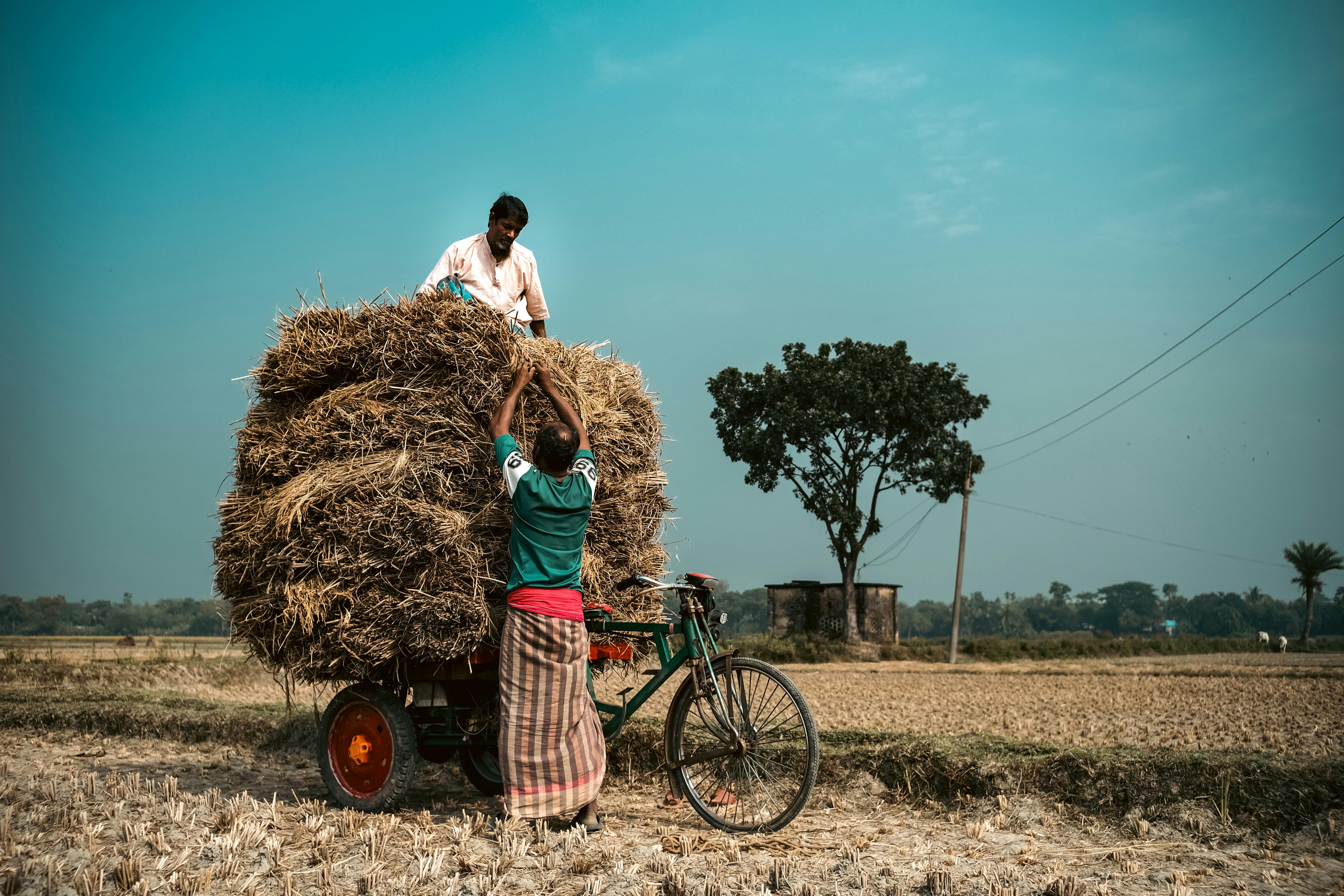 Santa Cart Photos, Download The BEST Free Santa Cart Stock Photos & HD ...