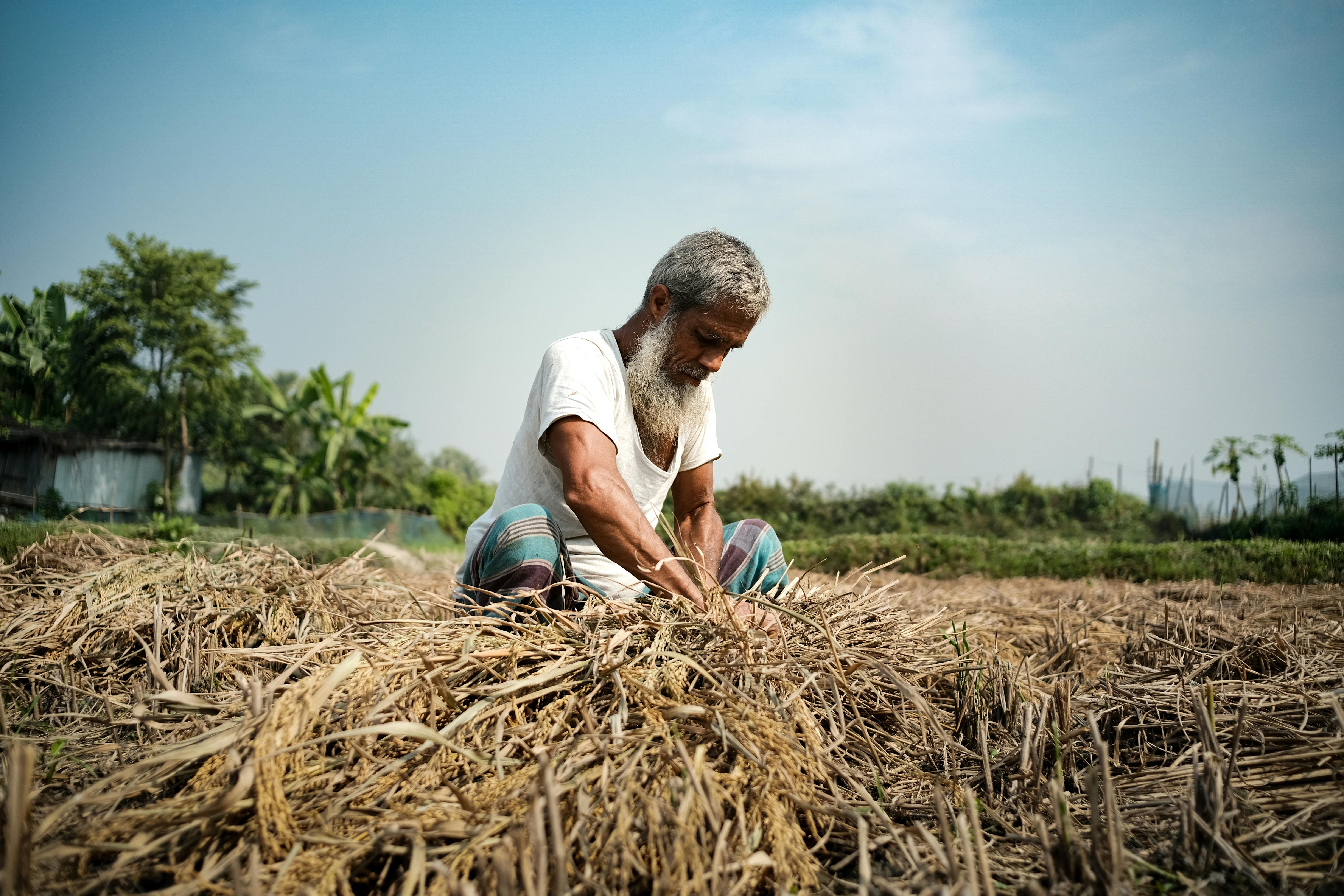 Daydrian Harding Photos, Download The BEST Free Daydrian Harding Stock ...