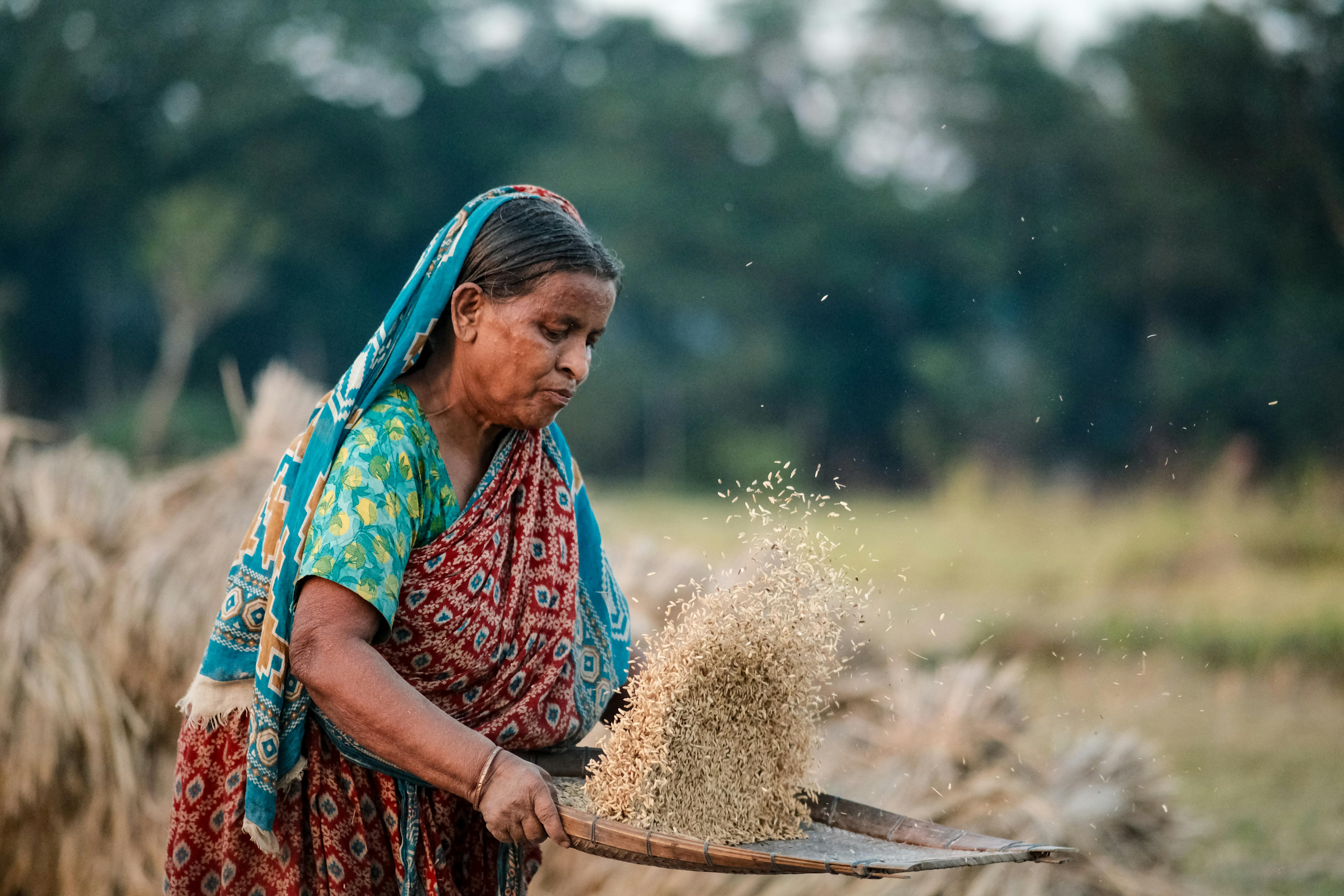 Daydrian Harding Photos, Download The BEST Free Daydrian Harding Stock ...