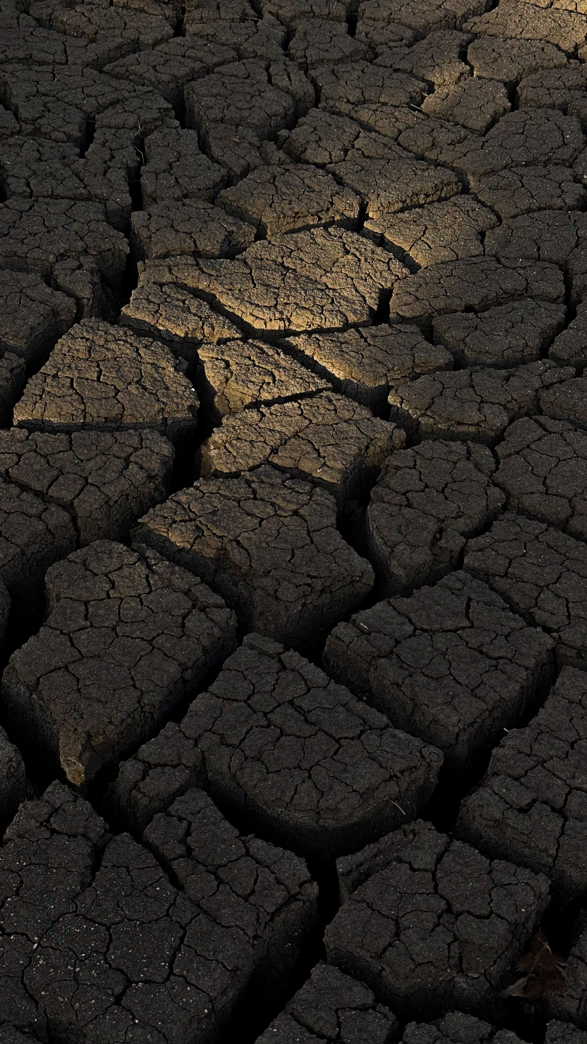 Cracked Earth Texture Highlighting Drought · Free Stock Photo