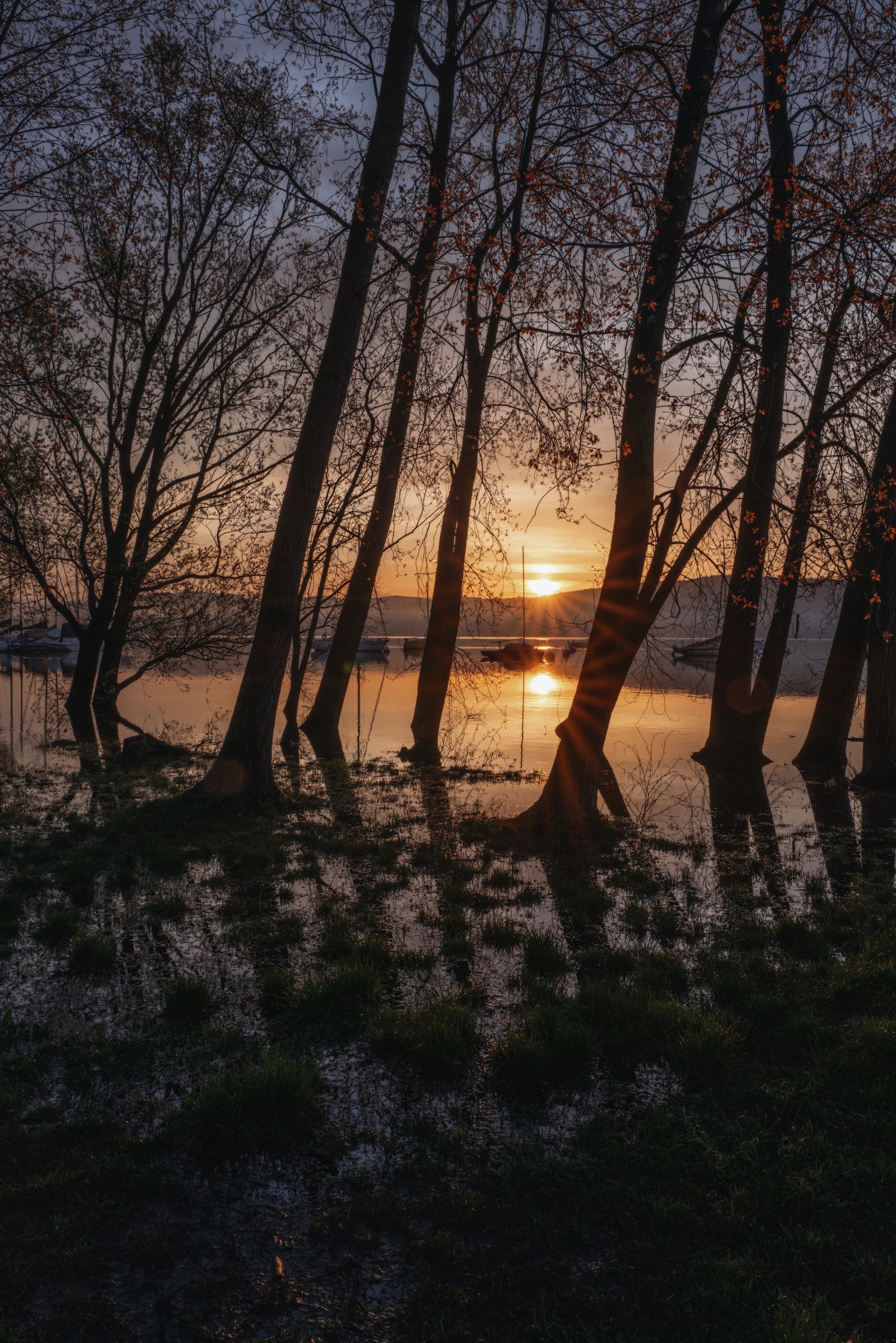 Sunset Through Trees Photos, Download The BEST Free Sunset Through ...