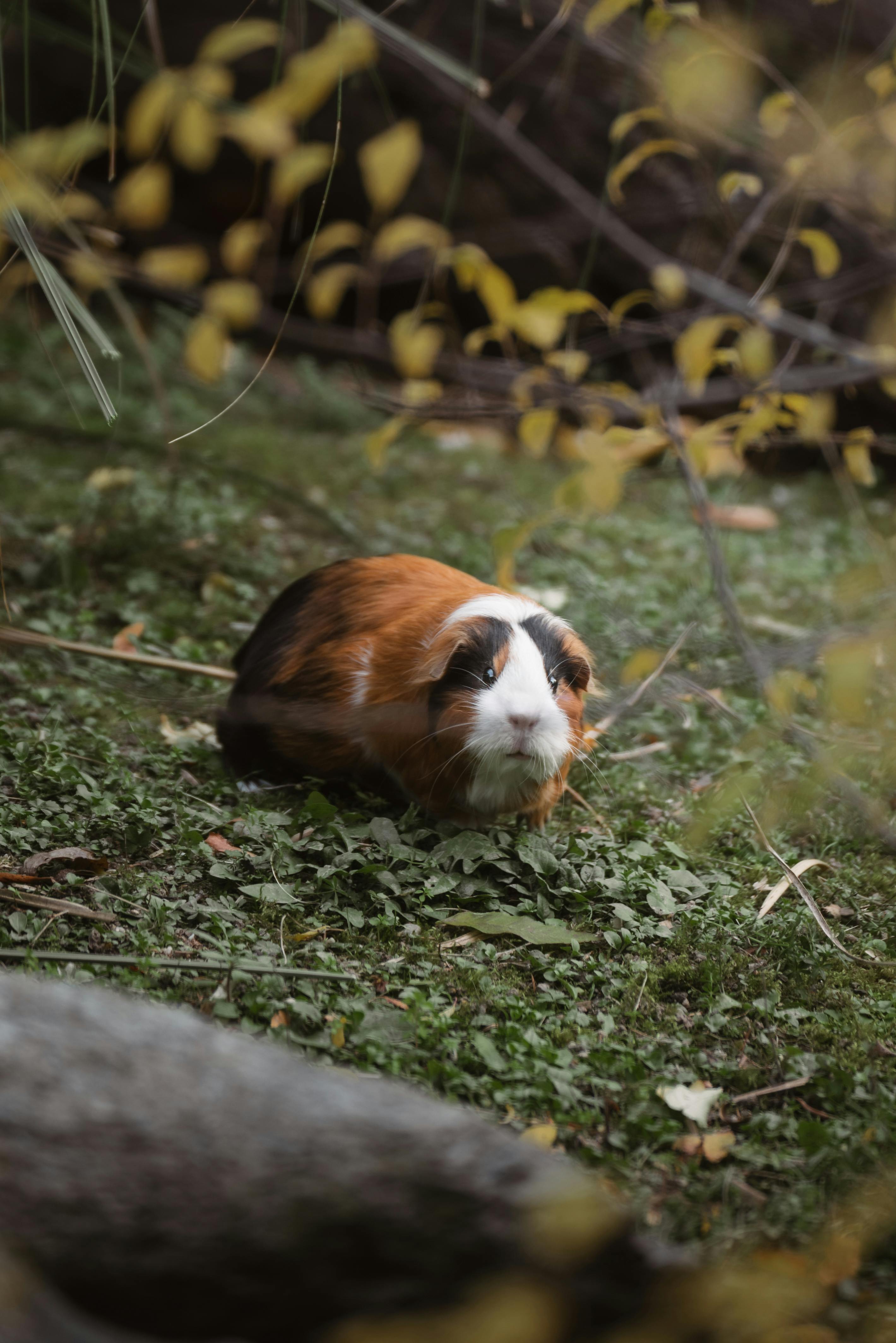 4k Computer Wallpaper Photos, Download The BEST Free 4k Computer ...