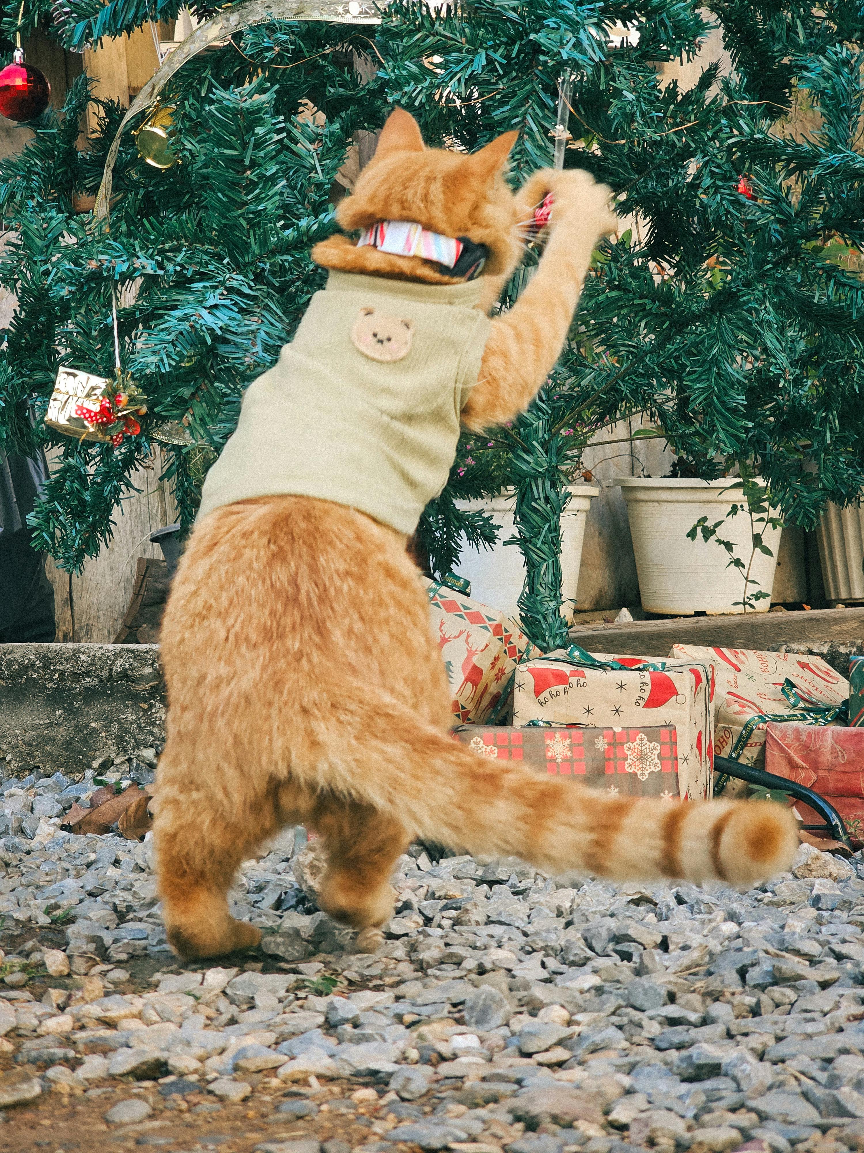 Cute+Nn+Jb+Girls Photos, Download The BEST Free Cute+Nn+Jb+Girls Stock ...