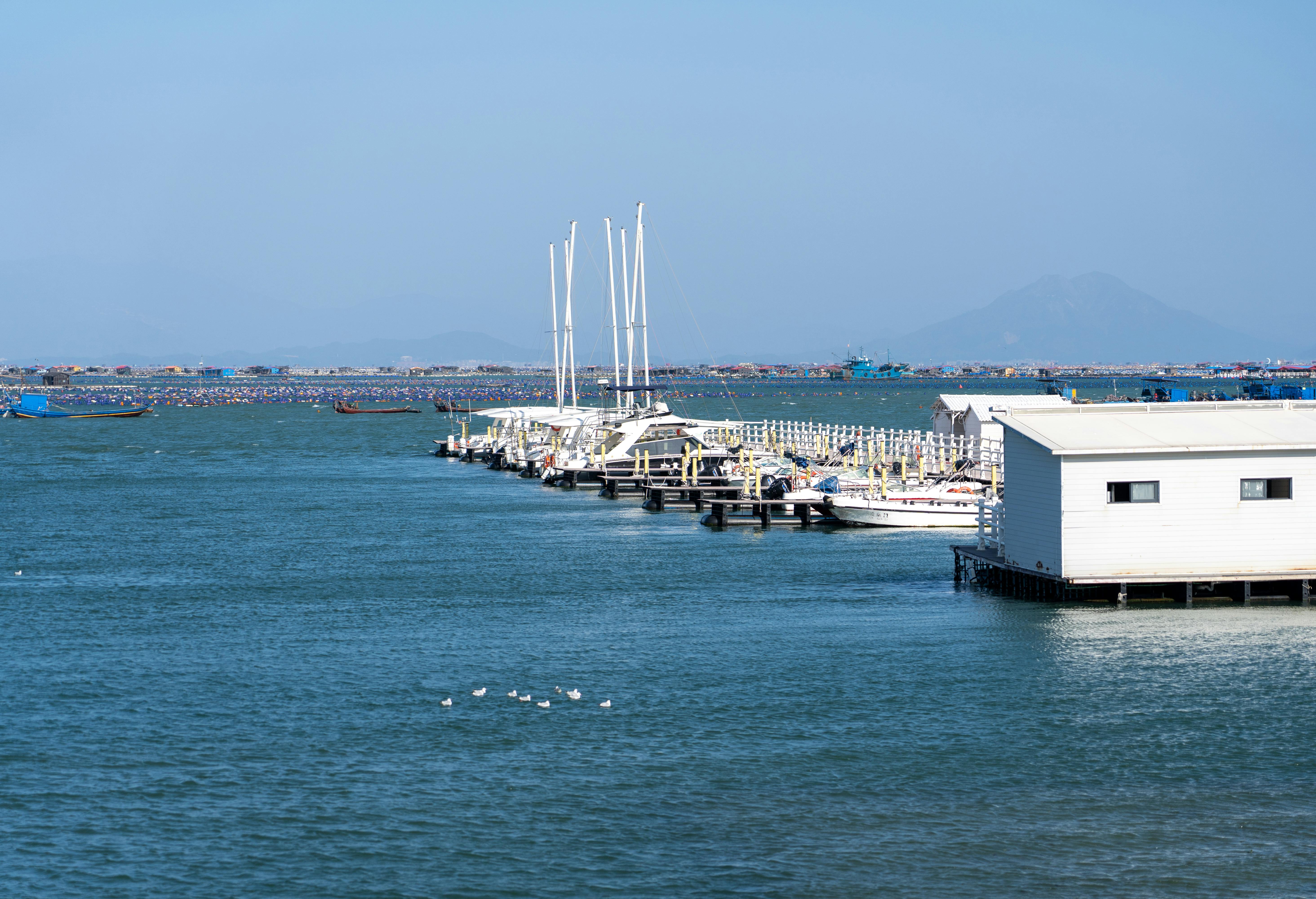 1,000,000+张最精彩的“Clean Water Nature”图片 · 100%免费下载 · Pexels素材图片