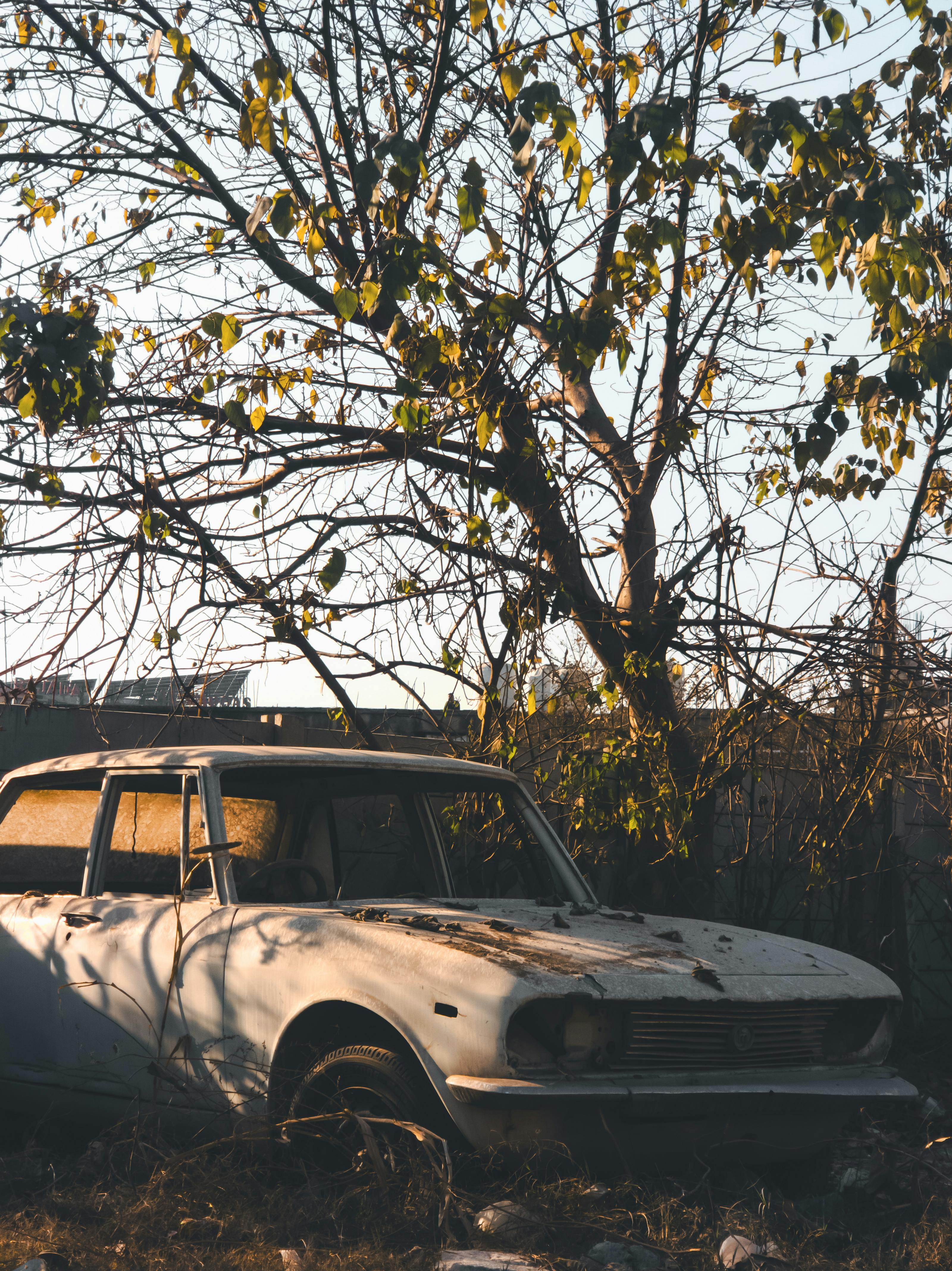 2d Car Photos, Download The BEST Free 2d Car Stock Photos & HD Images