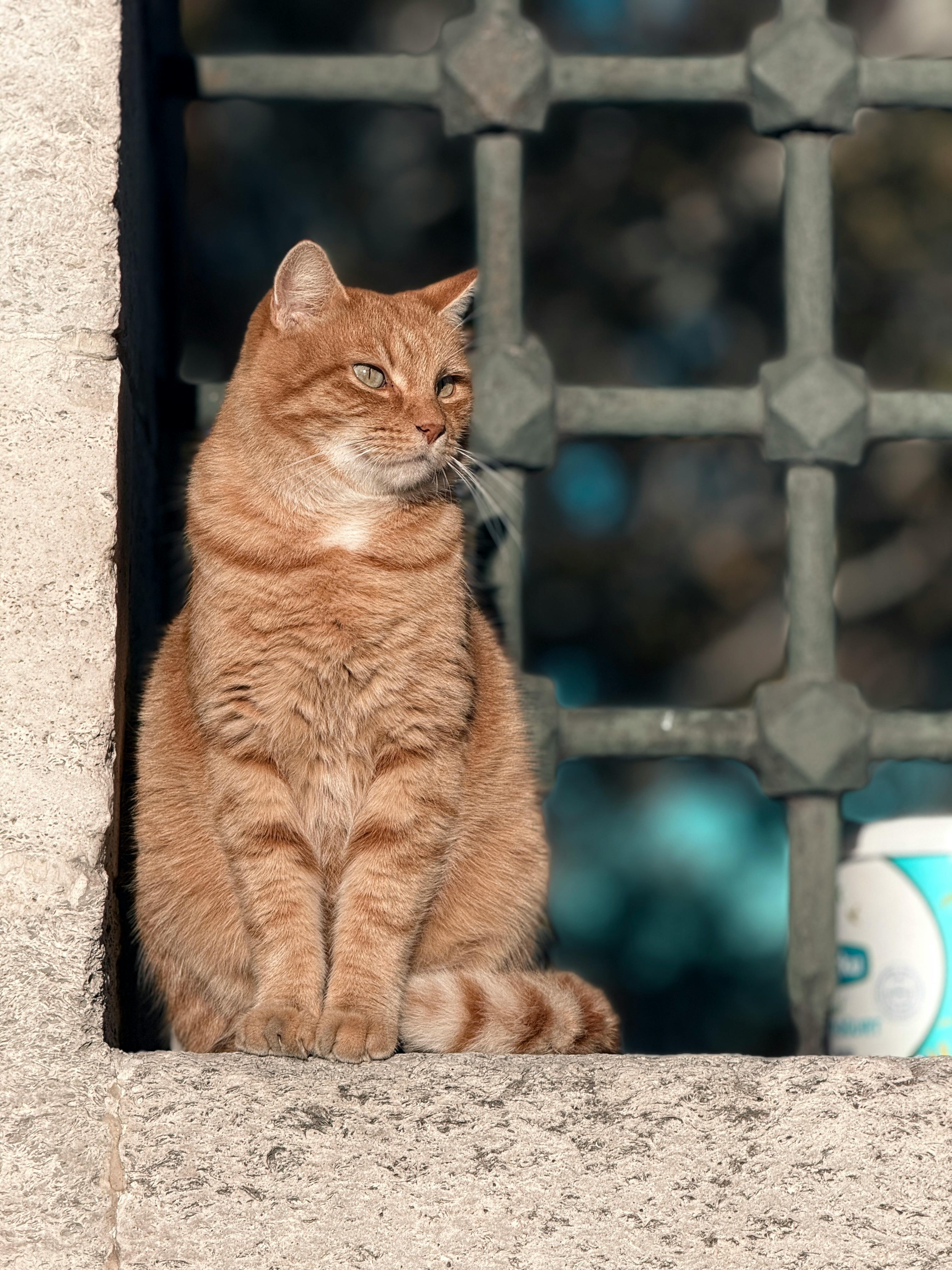 Cute+Nn+Jb+Girls Photos, Download The BEST Free Cute+Nn+Jb+Girls Stock ...