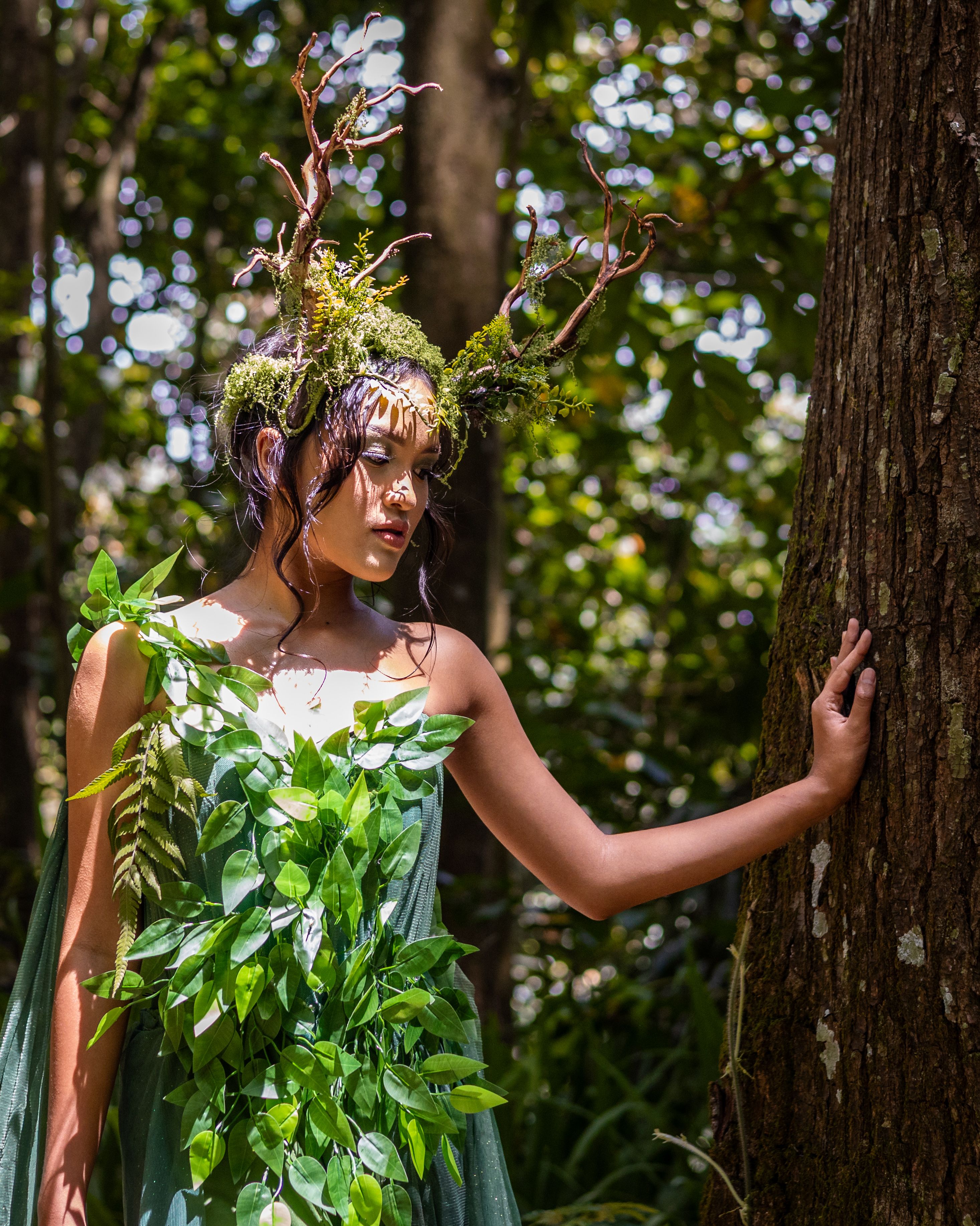 Nymph Photos, Download The BEST Free Nymph Stock Photos & HD Images