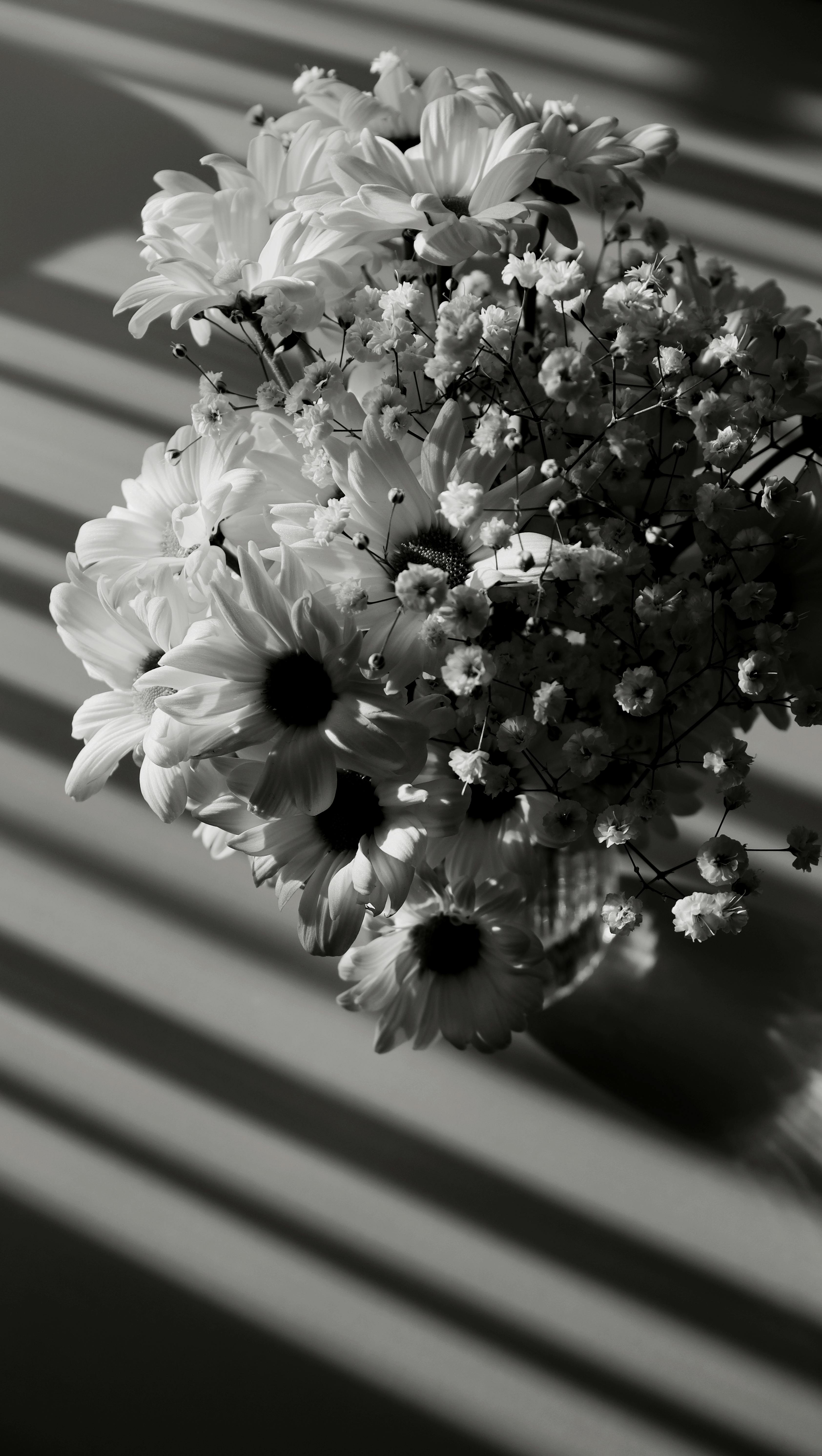 Spinning+Image+Maker Photos, Download The BEST Free Spinning+Image ...