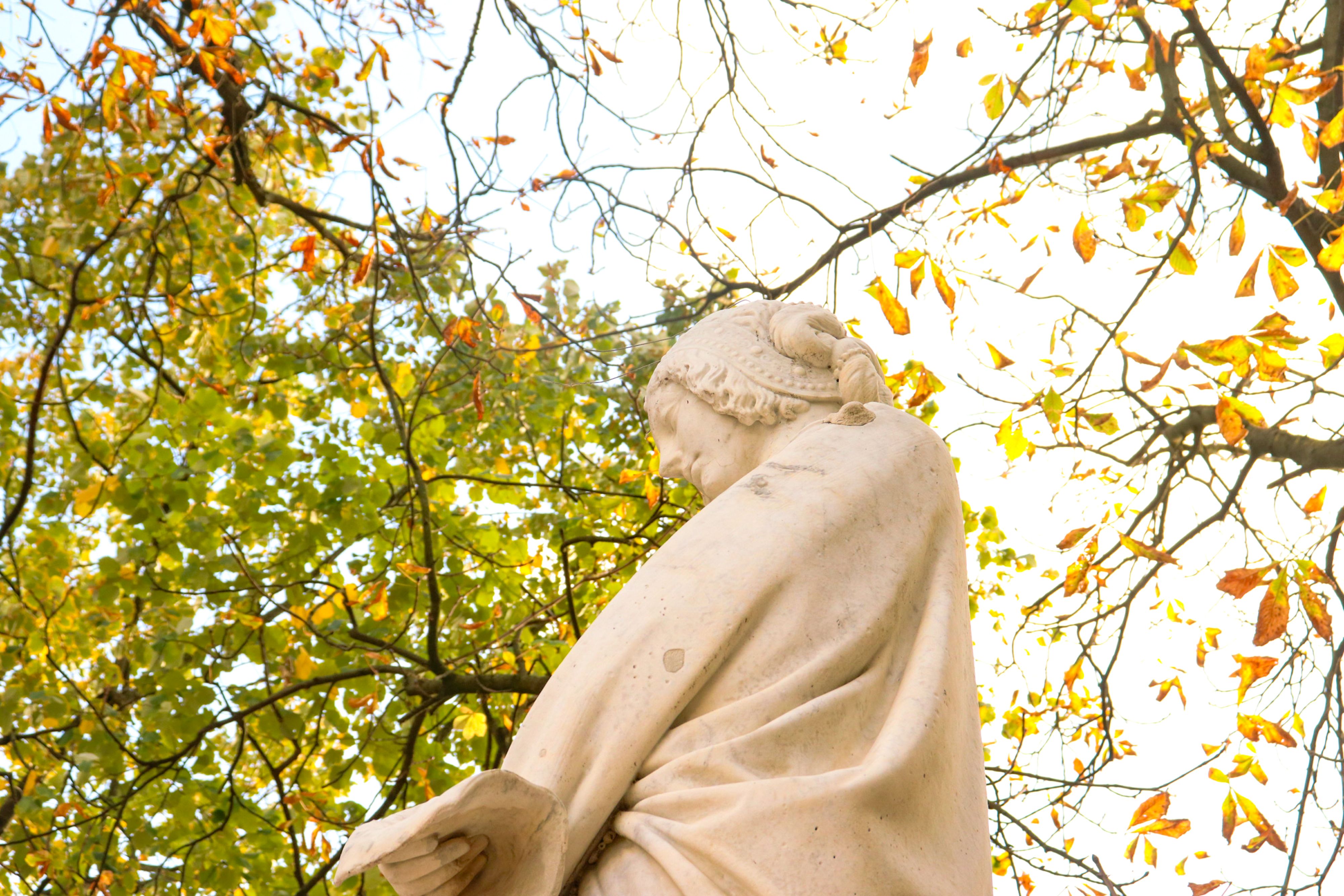 Céline | - Photography