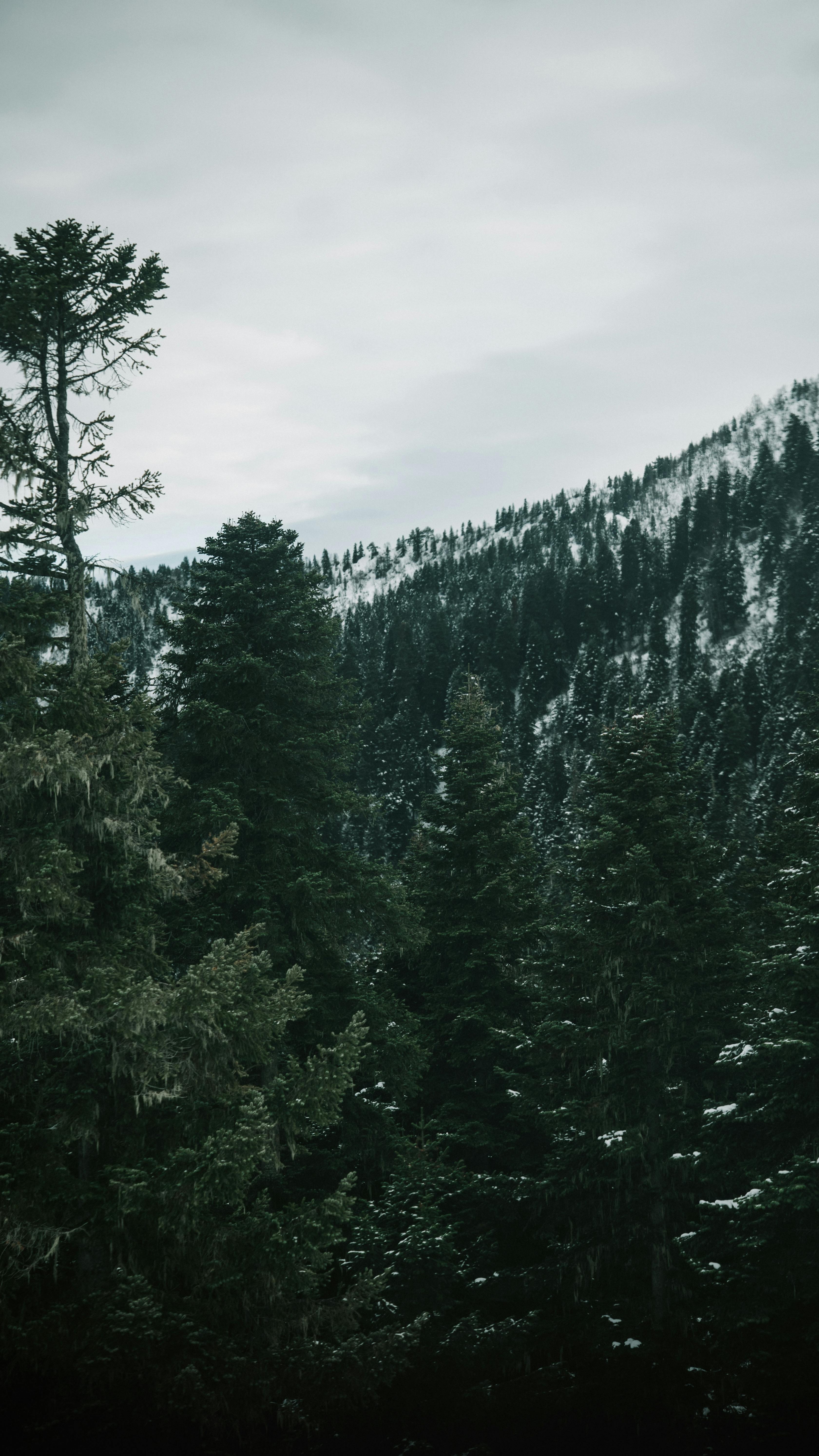 Cap+And+Diploma Photos, Download The BEST Free Cap+And+Diploma Stock ...