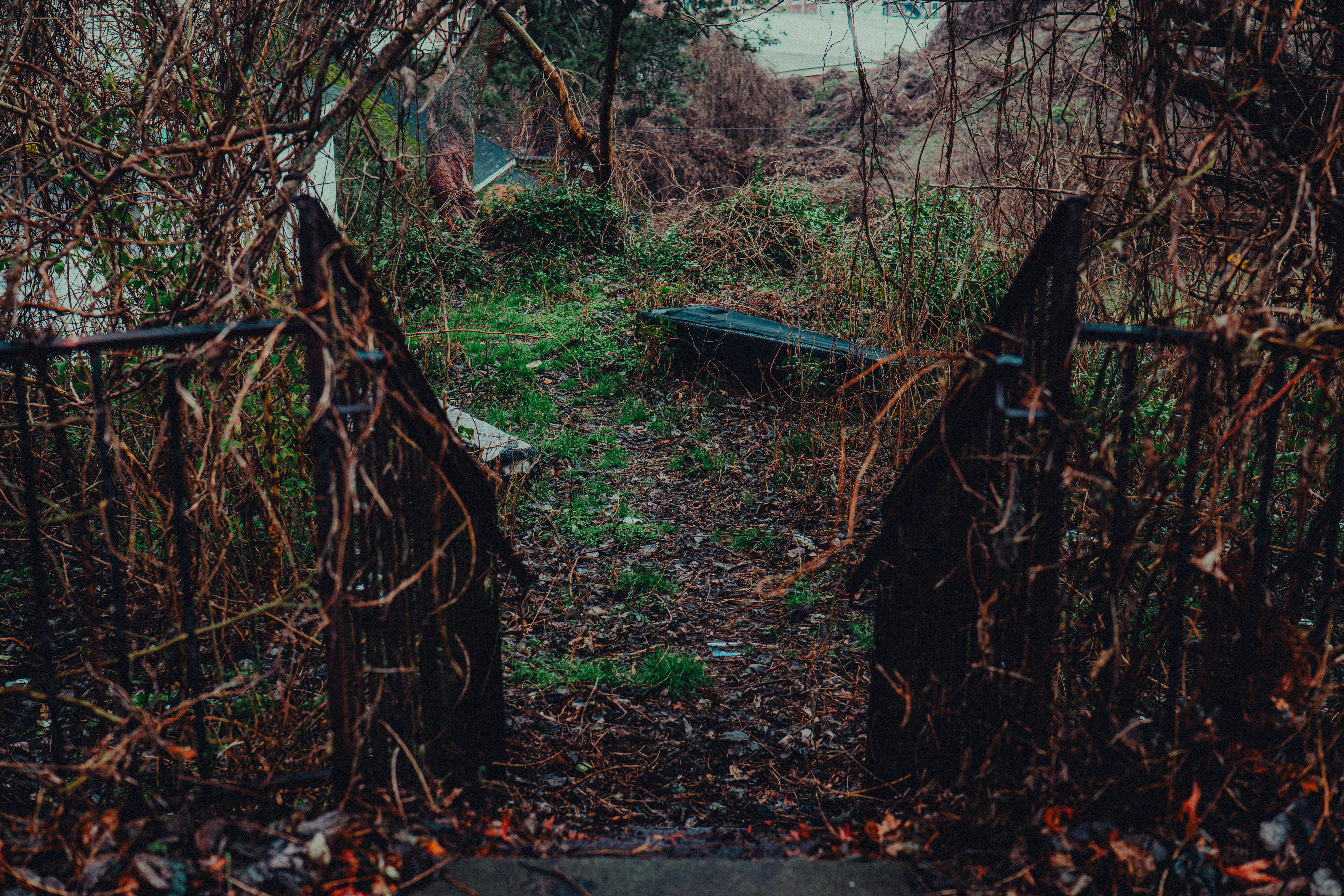 Zedge+Wallpapers+For+Laptop Photos, Download The BEST Free Zedge ...