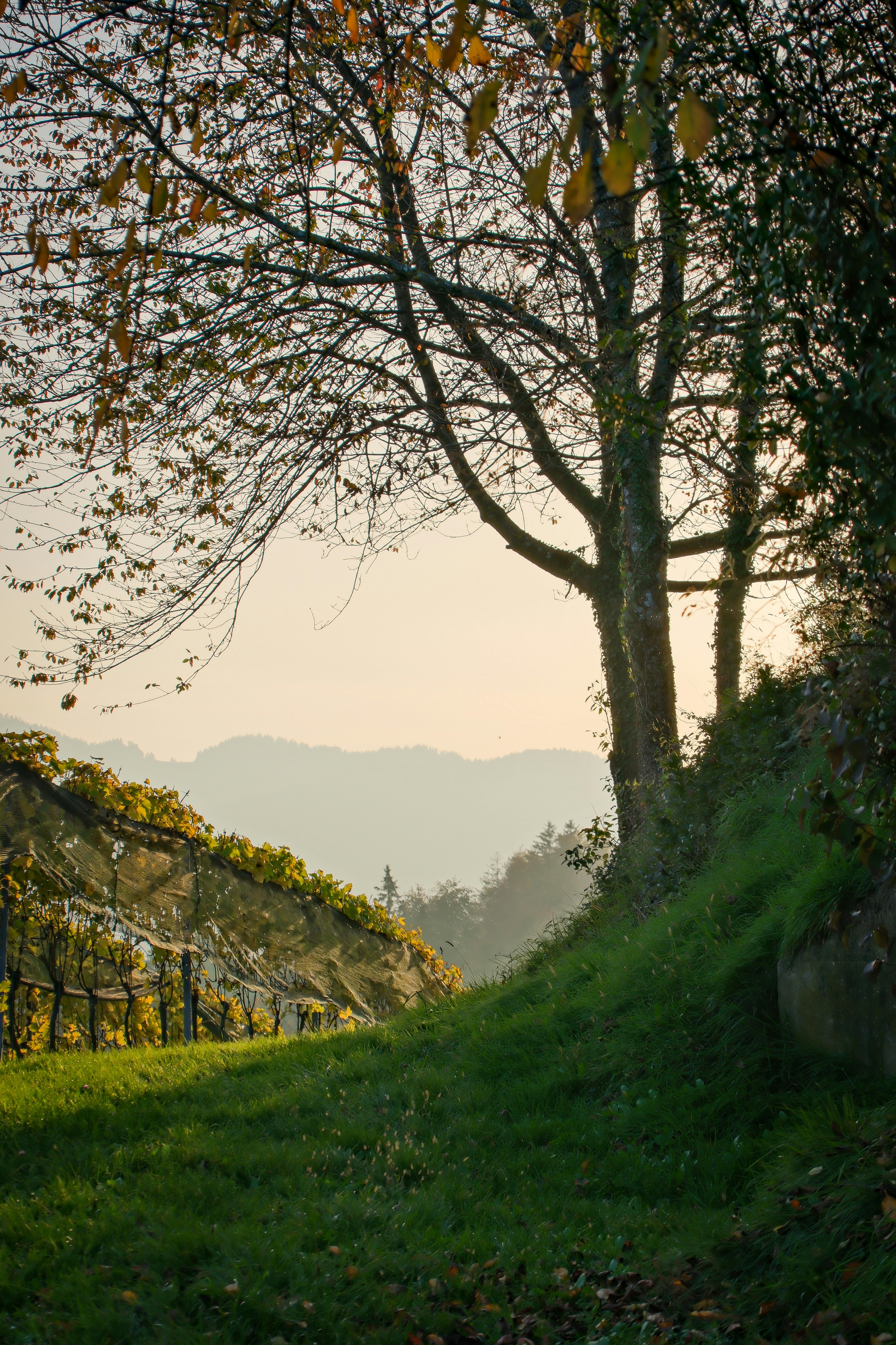 10.000+ Turkey Countryside Landscape Bilder und Fotos · Kostenlos ...