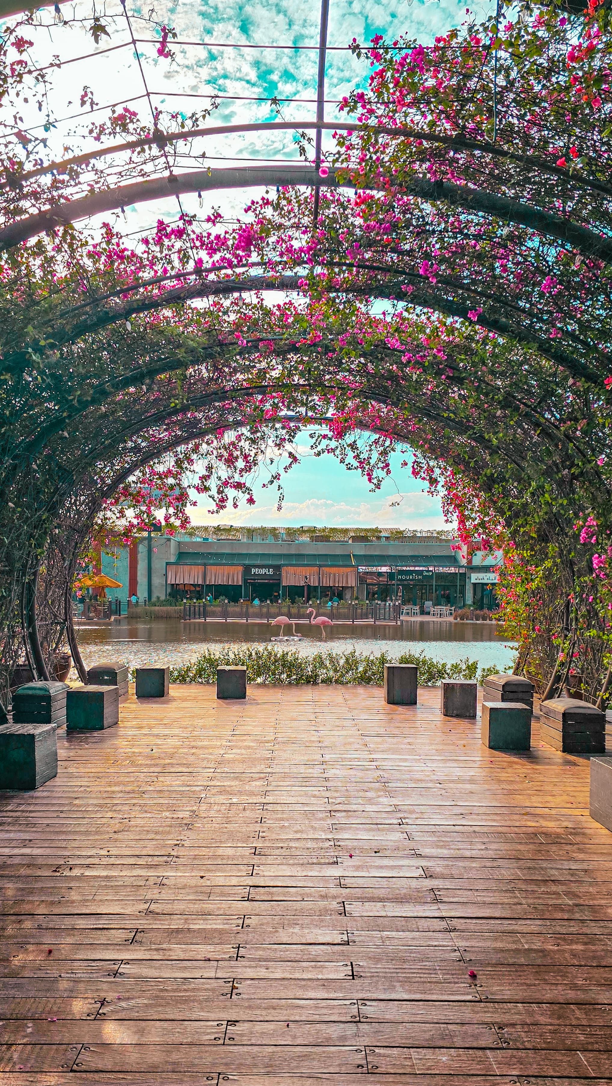 Foto de stock gratuita sobre ambientación romántica, arco floral, area ...