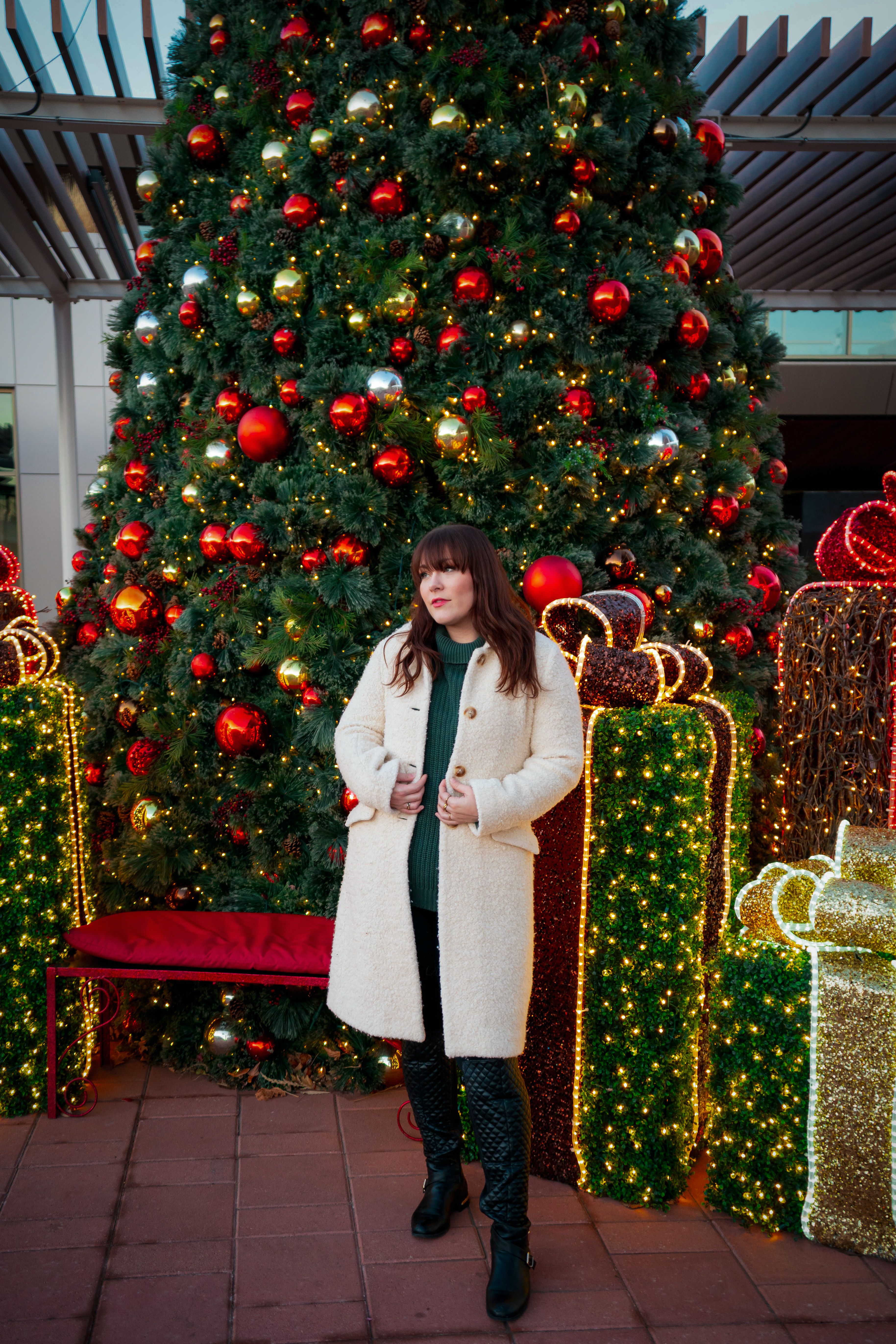 Festive Winter Fashion in Boulder Holiday Scene · Free Stock Photo