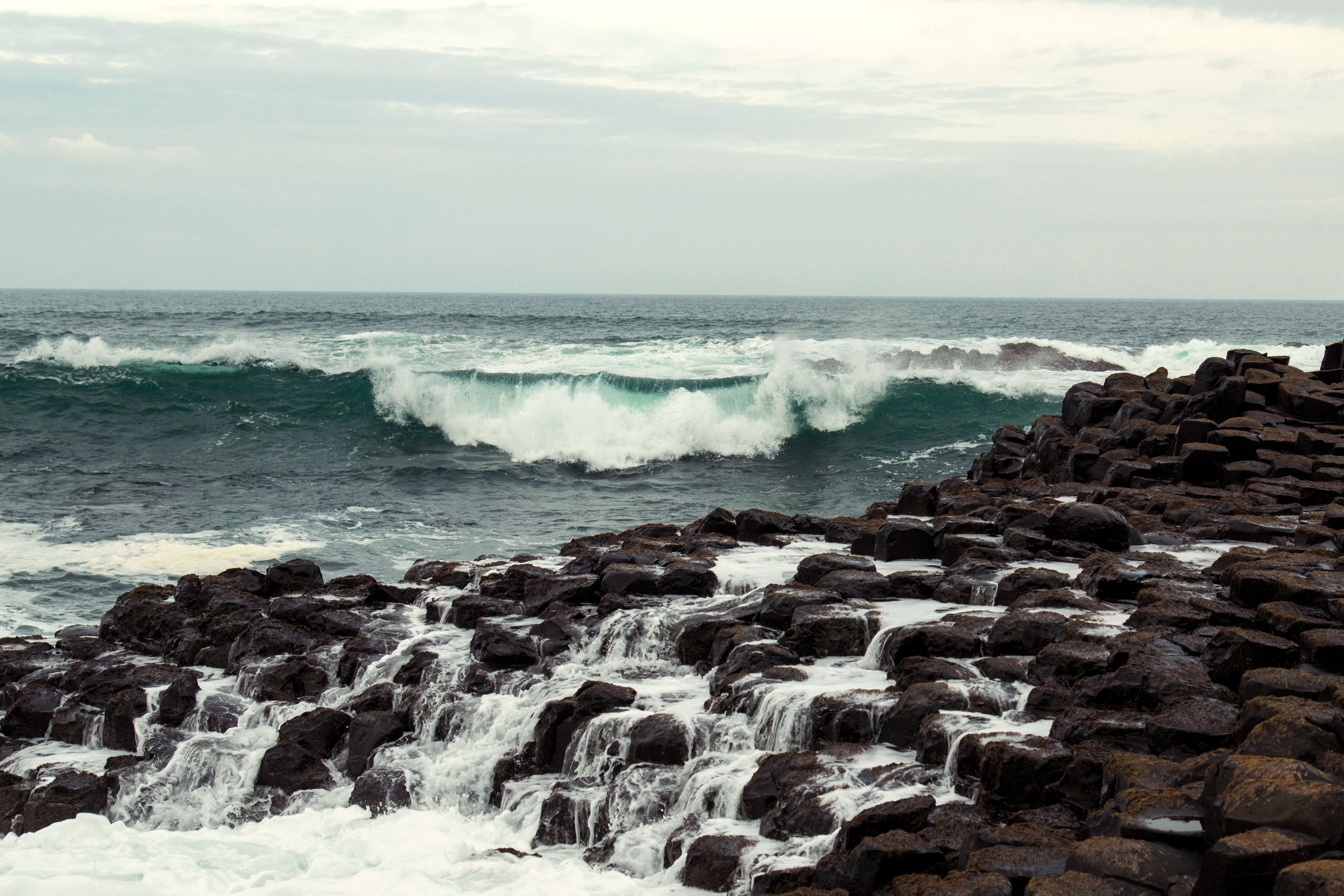 Giant's Causeway Coastal Waves and Basalt Columns · Free Stock Photo