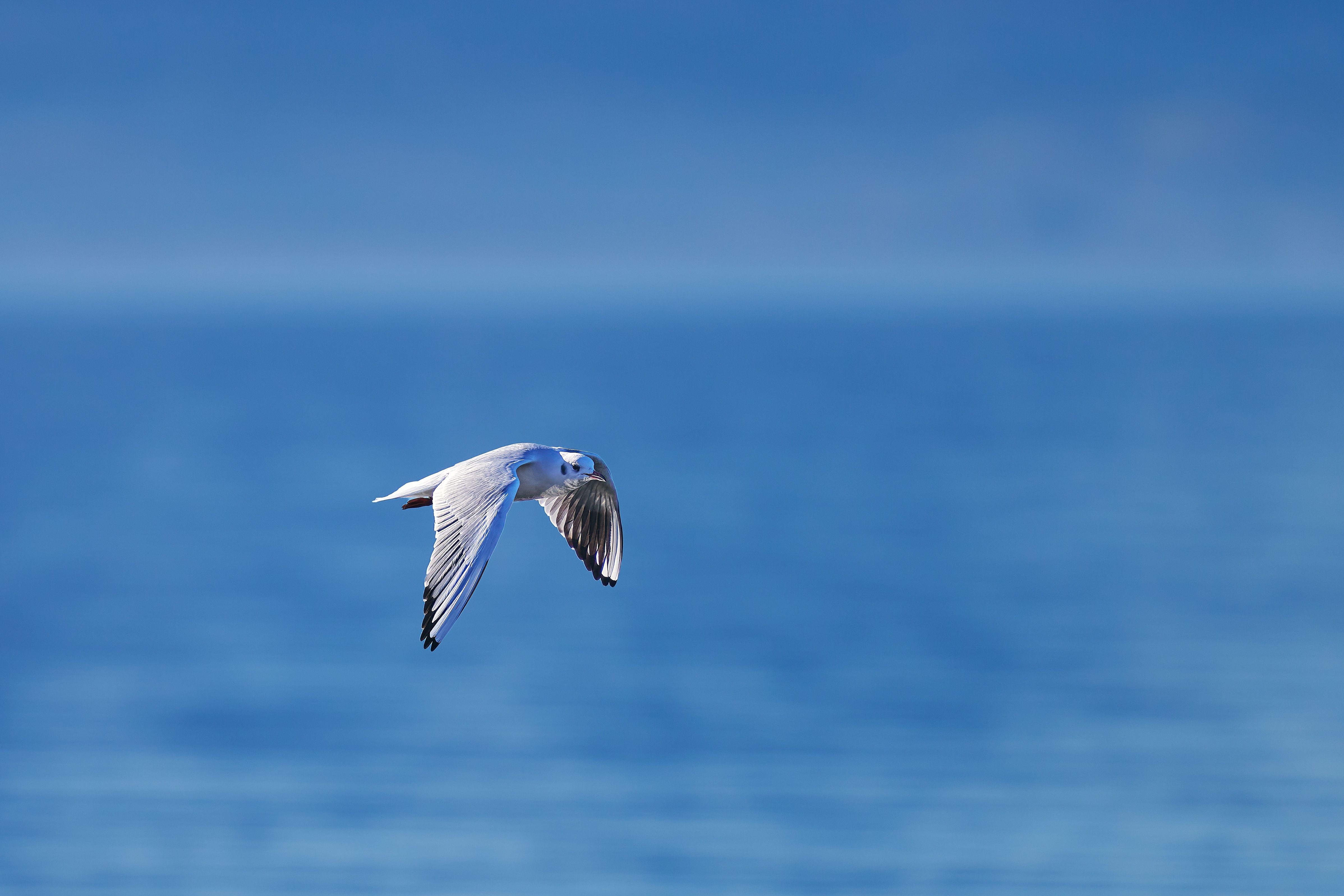 Ocean+N+Earth Photos, Download The BEST Free Ocean+N+Earth Stock Photos ...