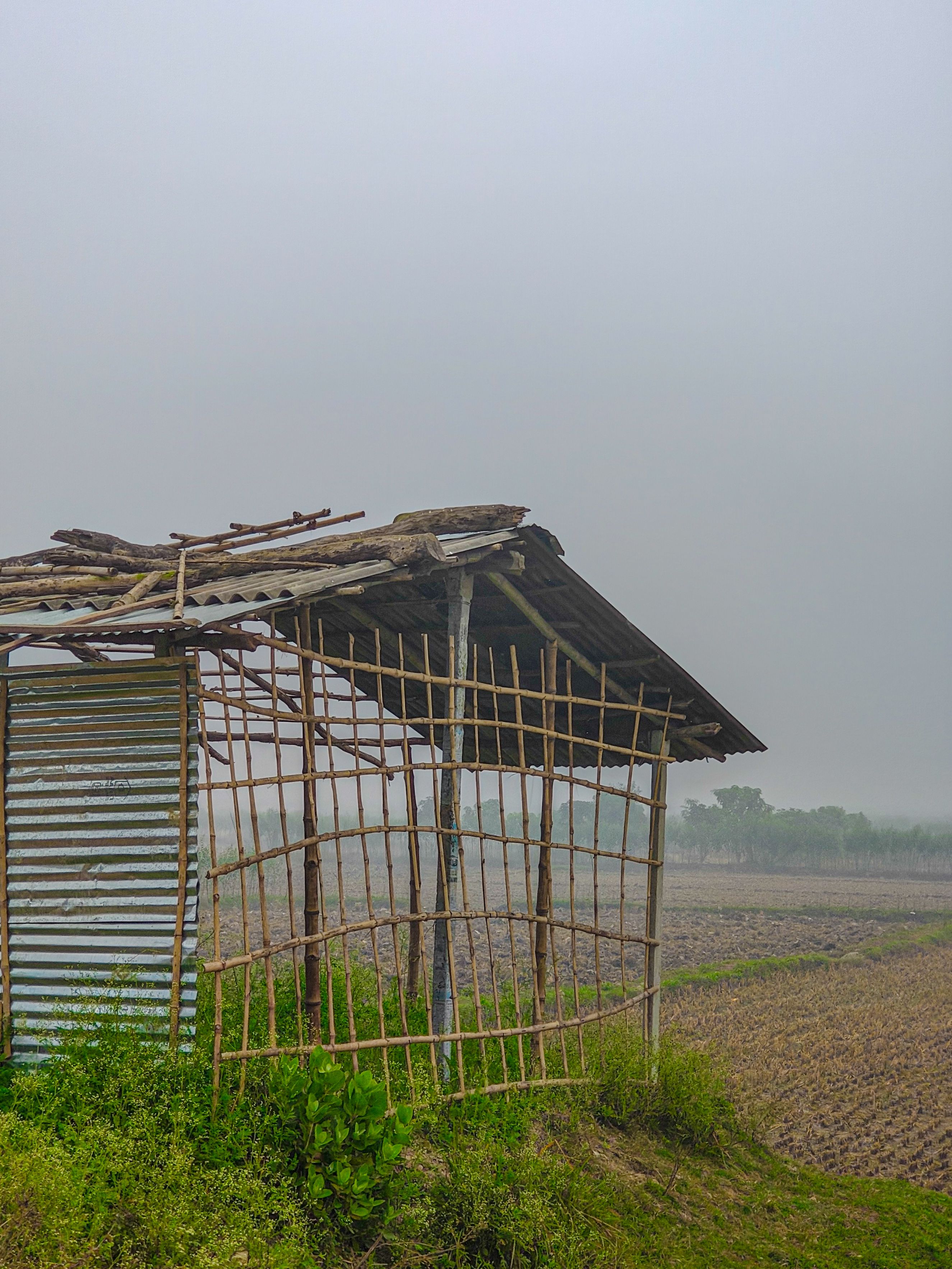Rustic Farm Hut in Foggy Countryside Landscape · Free Stock Photo