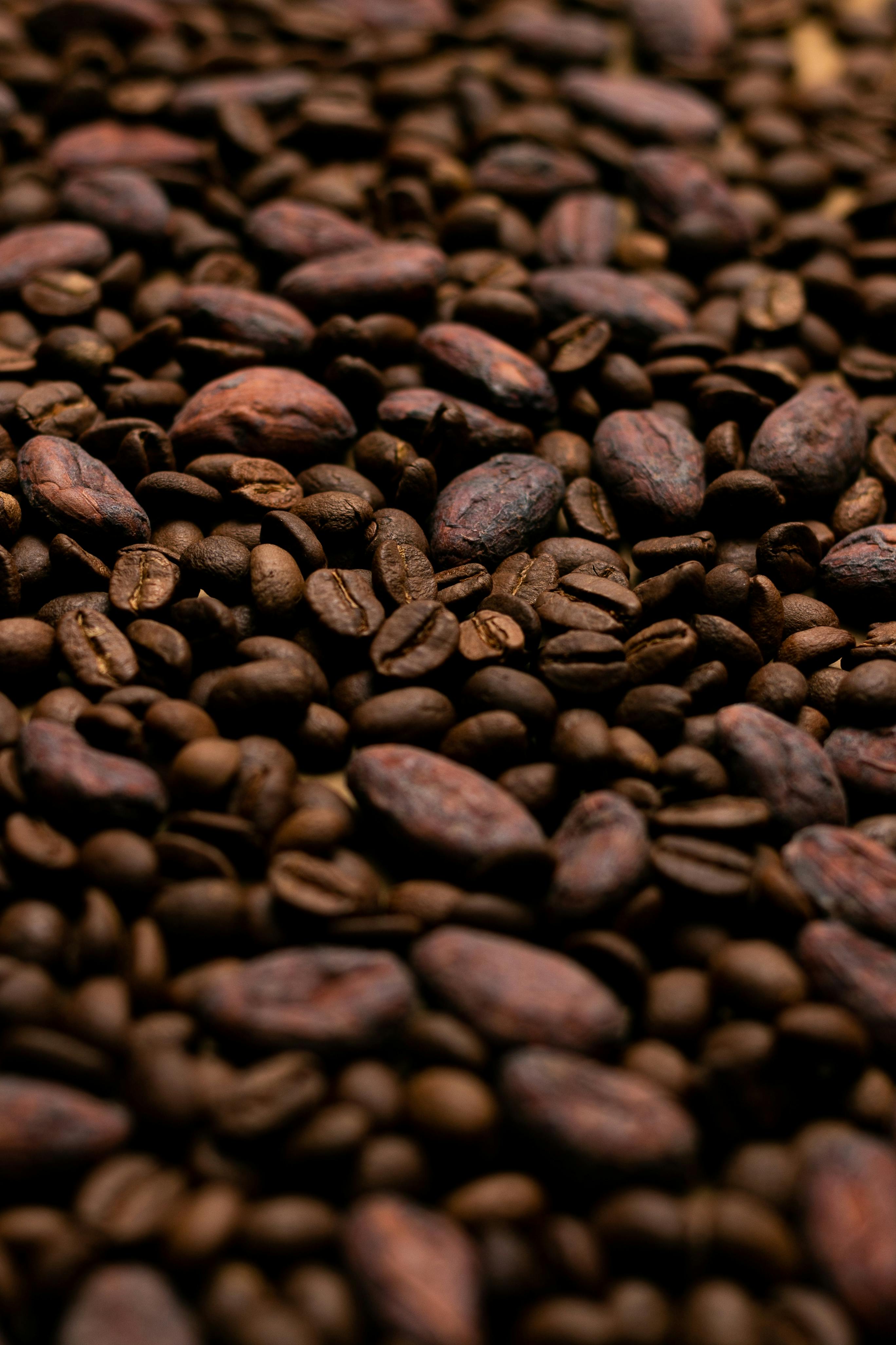 Catalina Sweet Imx.To Photos, Download The BEST Free Catalina Sweet Imx ...