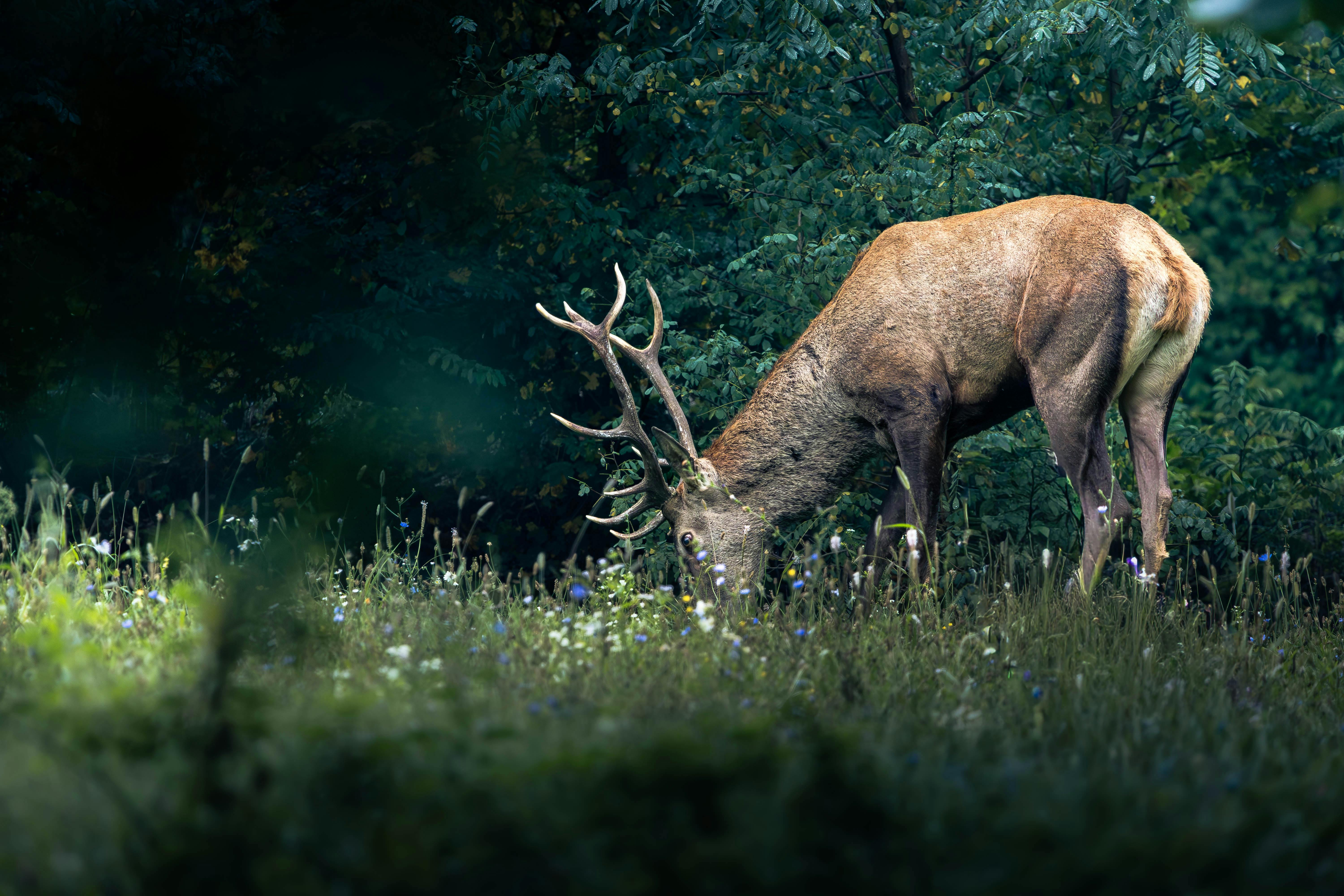 Free Png Photos, Download The BEST Free Free Png Stock Photos & HD Images