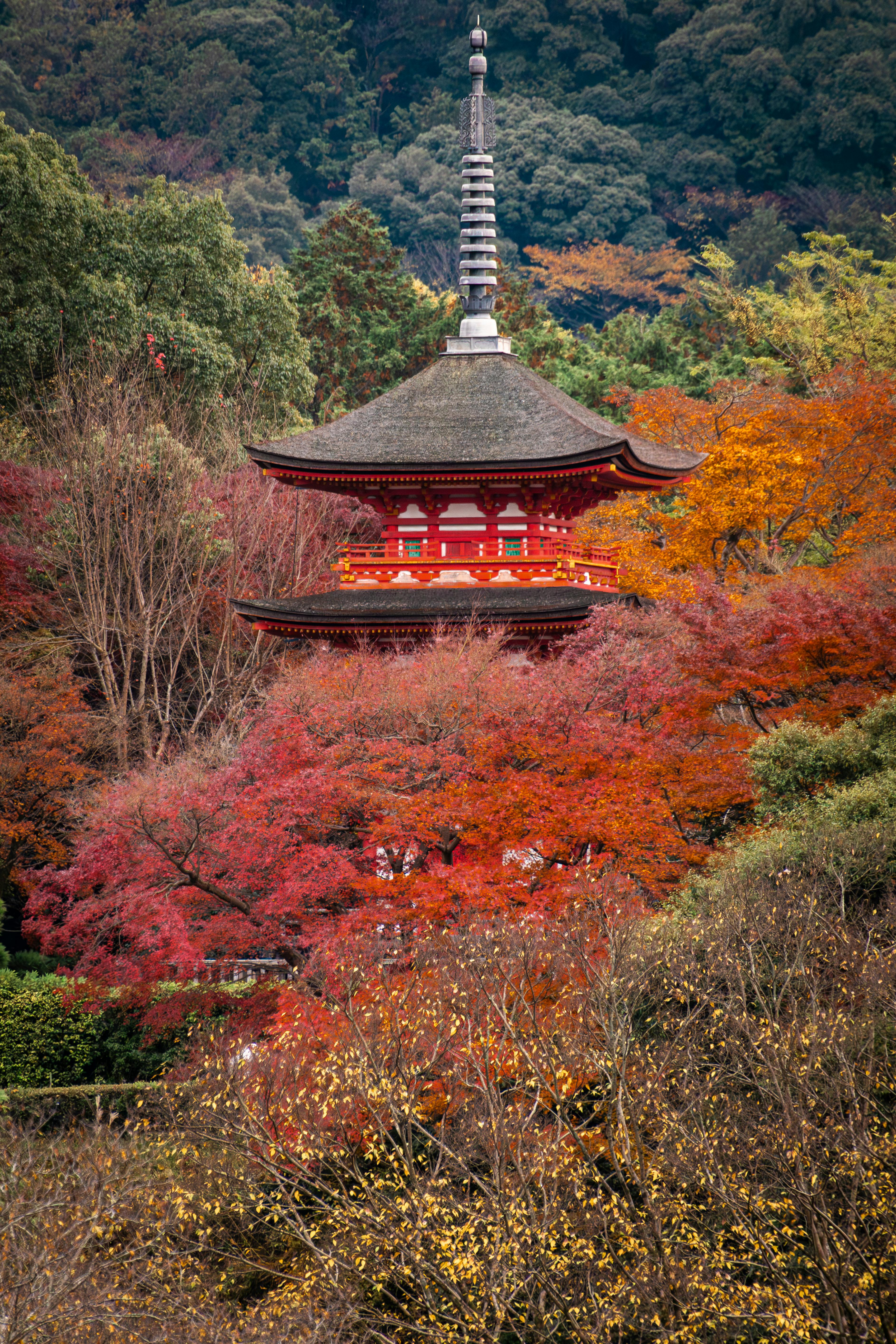 Happy+Friday+Fall Photos, Download The BEST Free Happy+Friday+Fall ...