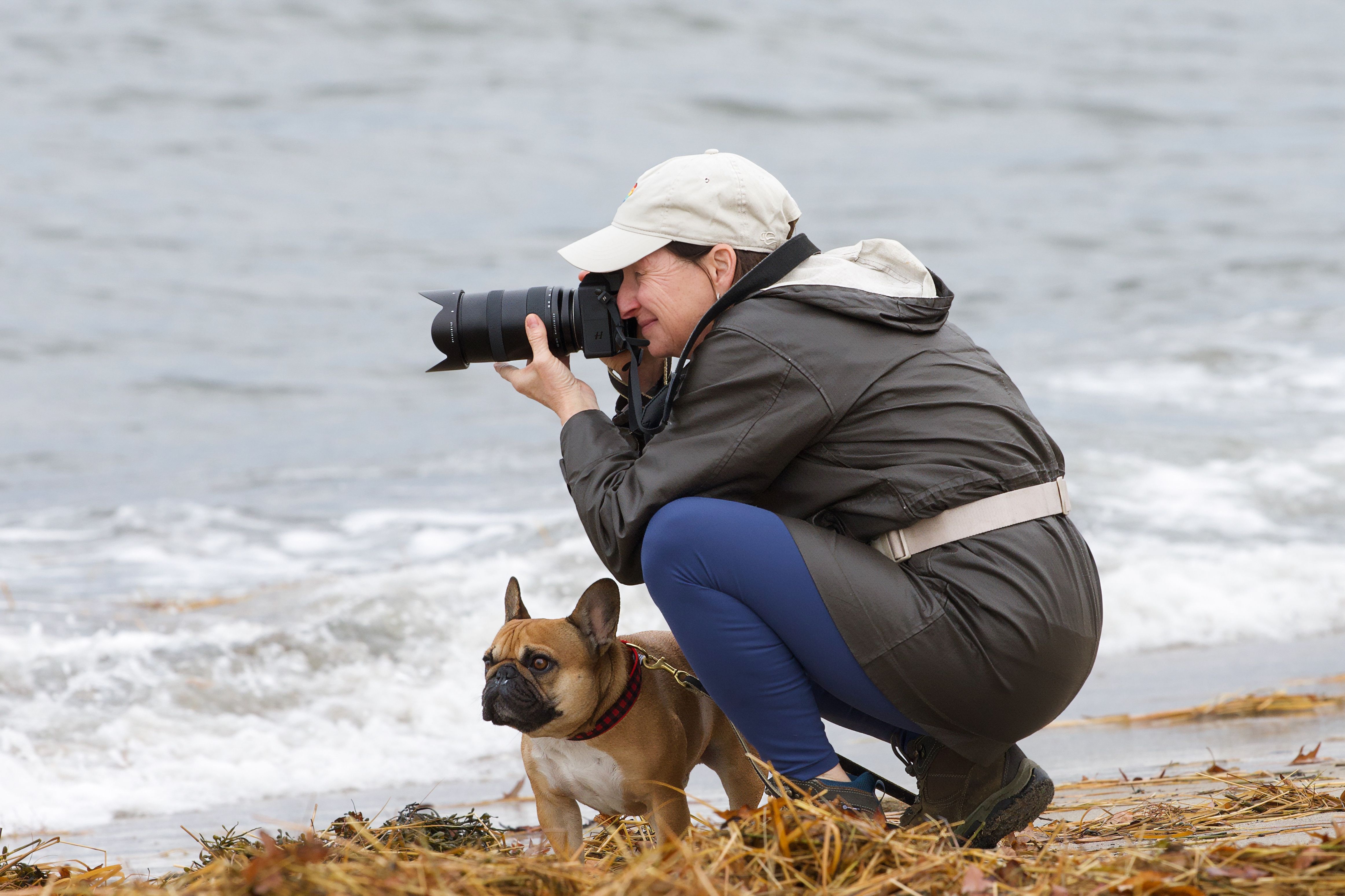 Cove+Bu Photos, Download The BEST Free Cove+Bu Stock Photos & HD Images