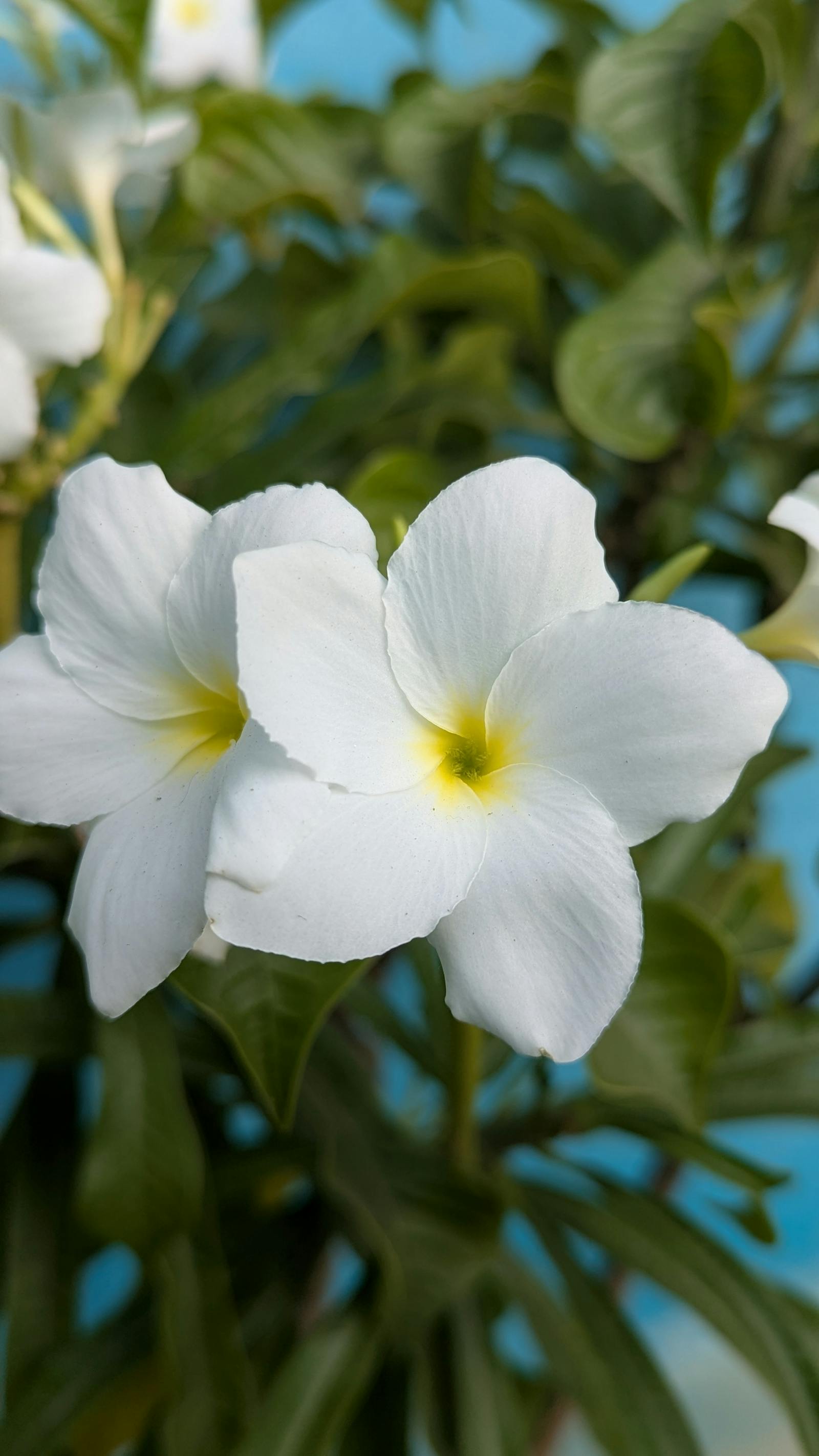 Green Hacker Background Photos, Download The BEST Free Green Hacker ...