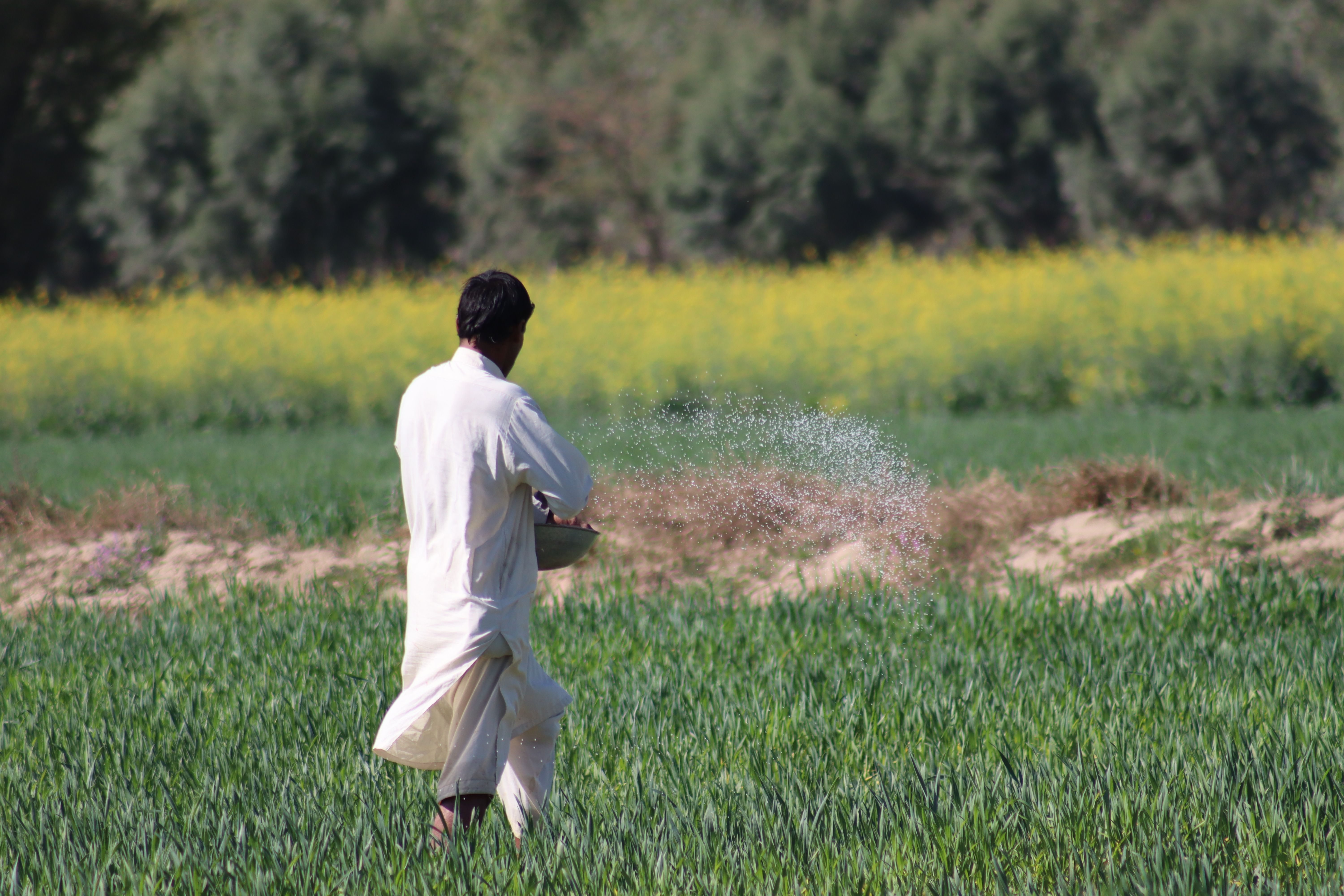 Farmer Spreading Fertilizer in Green Field · Free Stock Photo
