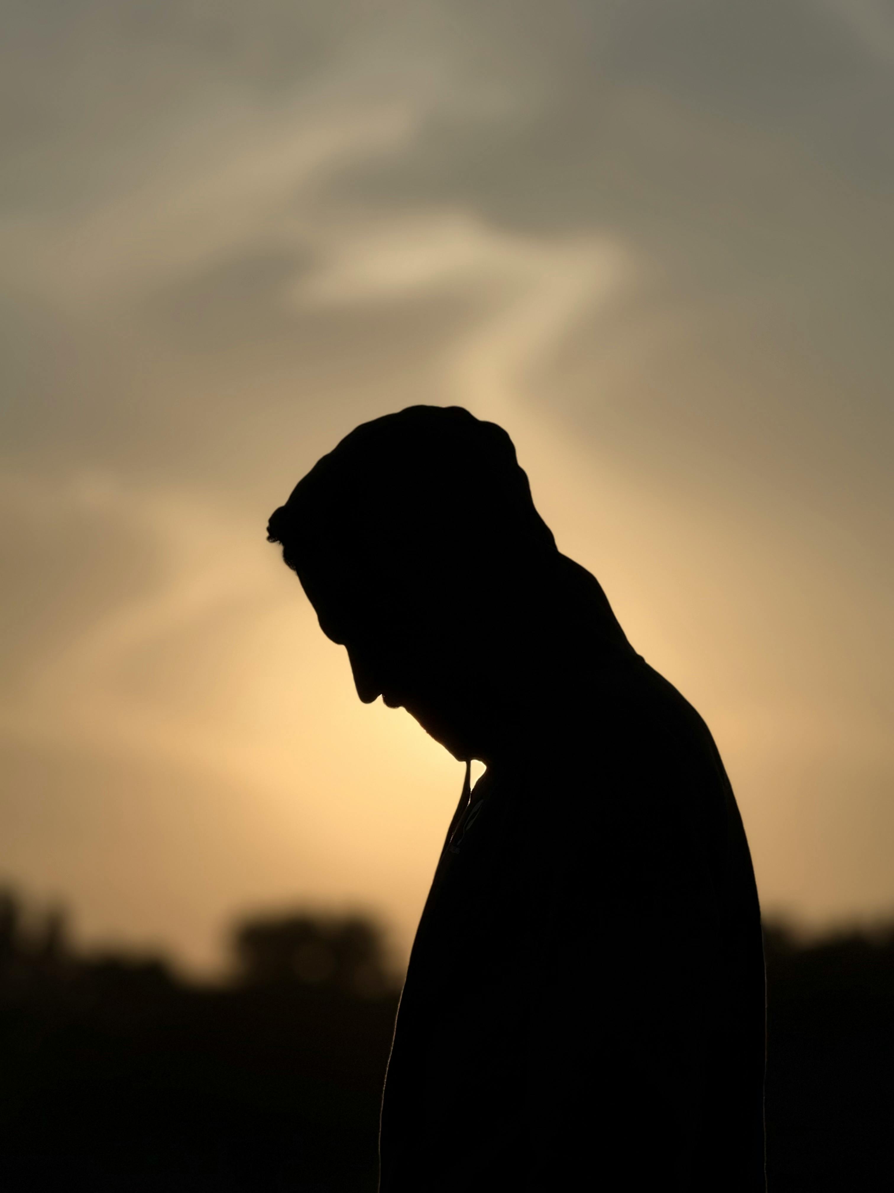 Profile+Pe Photos, Download The BEST Free Profile+Pe Stock Photos & HD ...