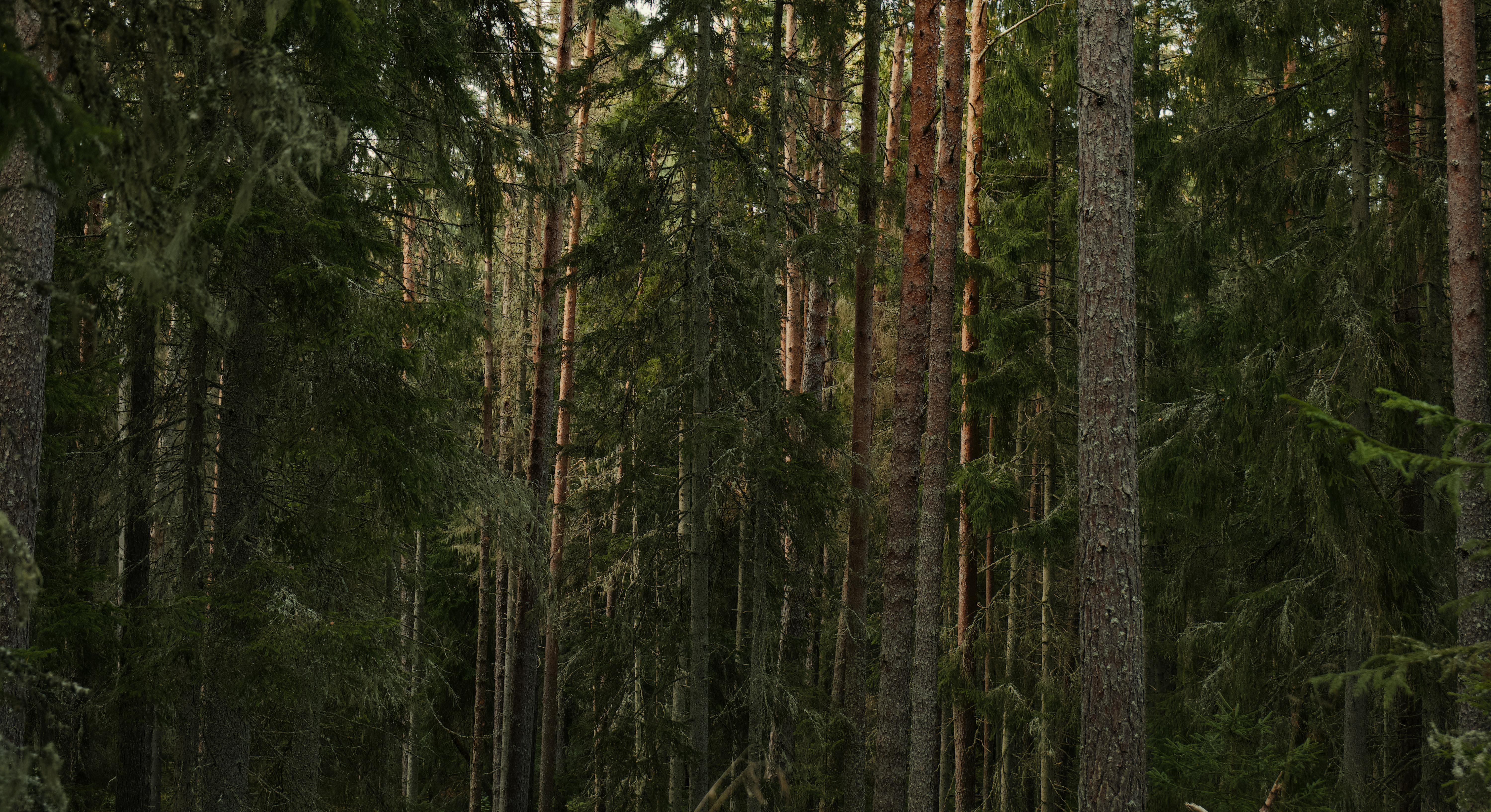 Placed+Landscape Photos, Download The BEST Free Placed+Landscape Stock ...