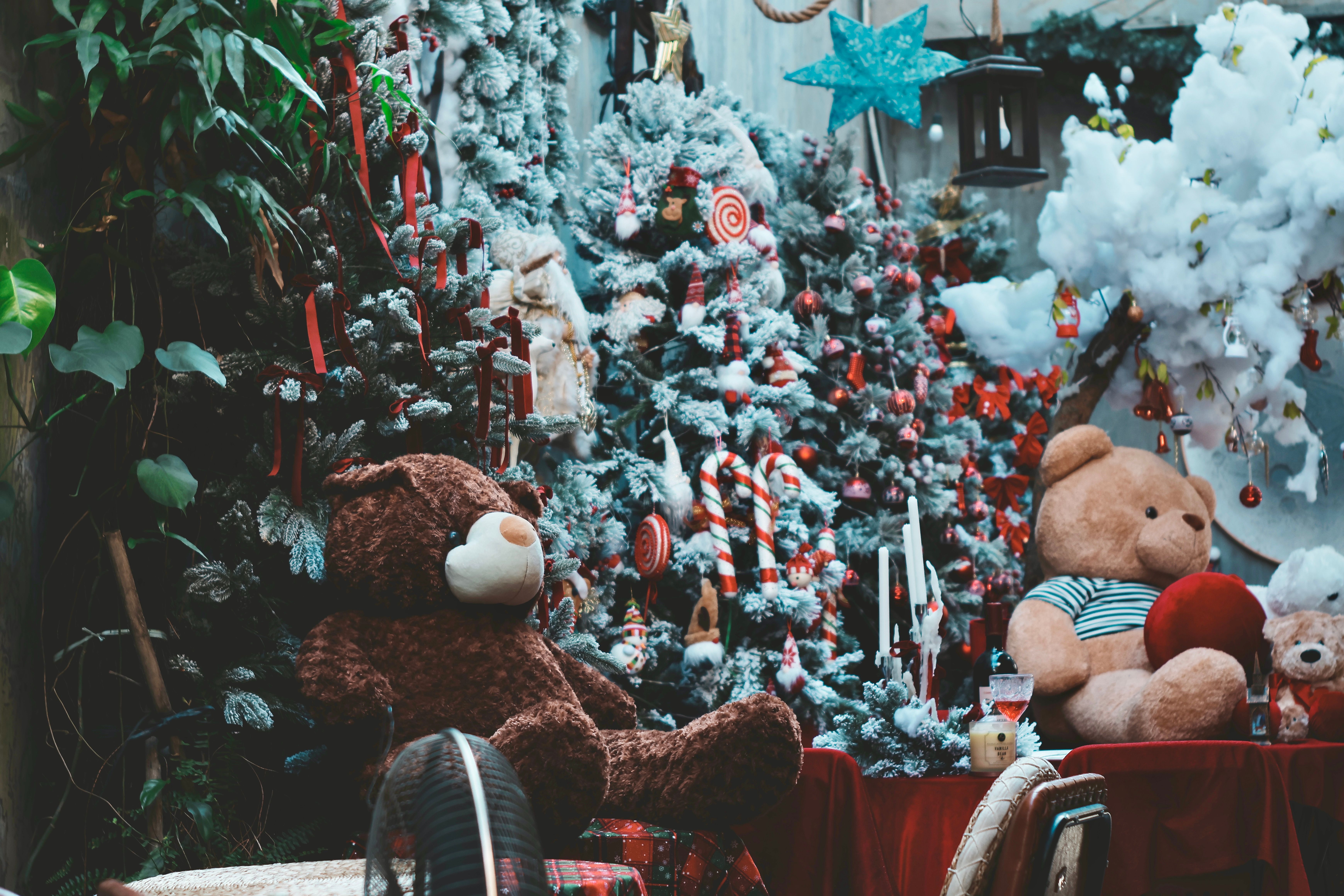 Festive Cozy Christmas Teddy Bear Display · Free Stock Photo
