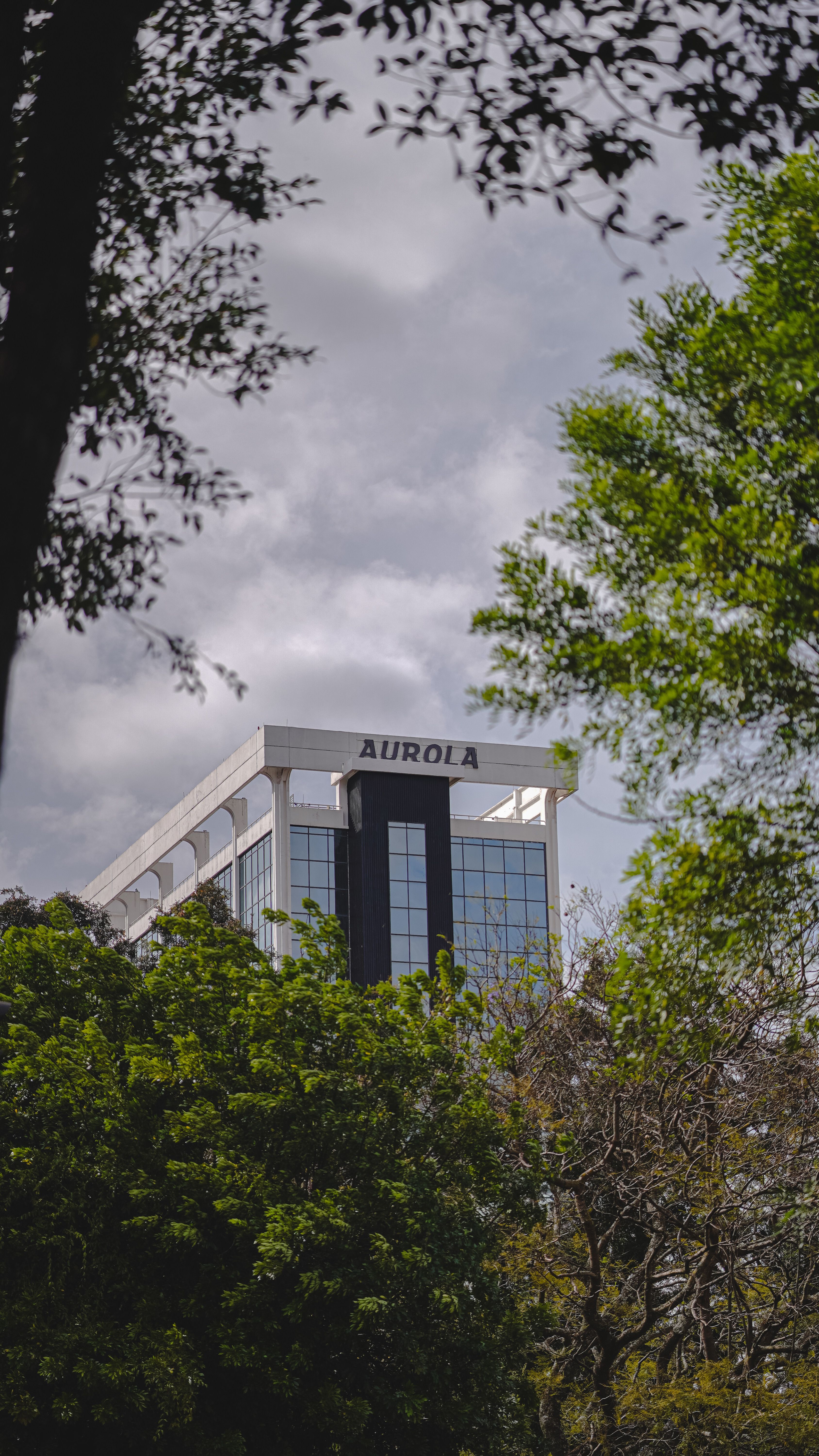 Modern Building Behind Trees in Urban Area · Free Stock Photo