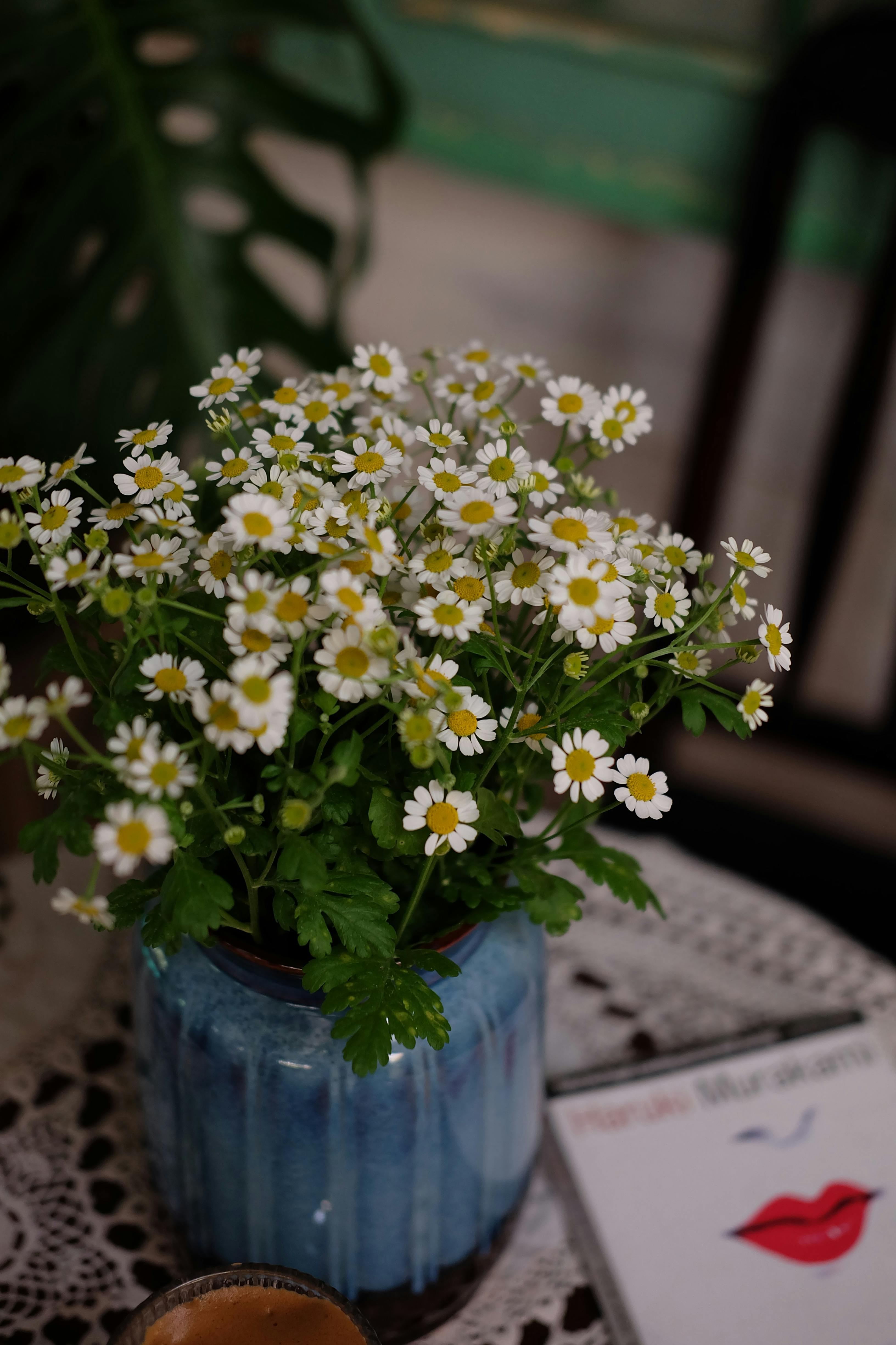 Homes+Syria+Wallpapers Photos, Download The BEST Free Homes+Syria ...