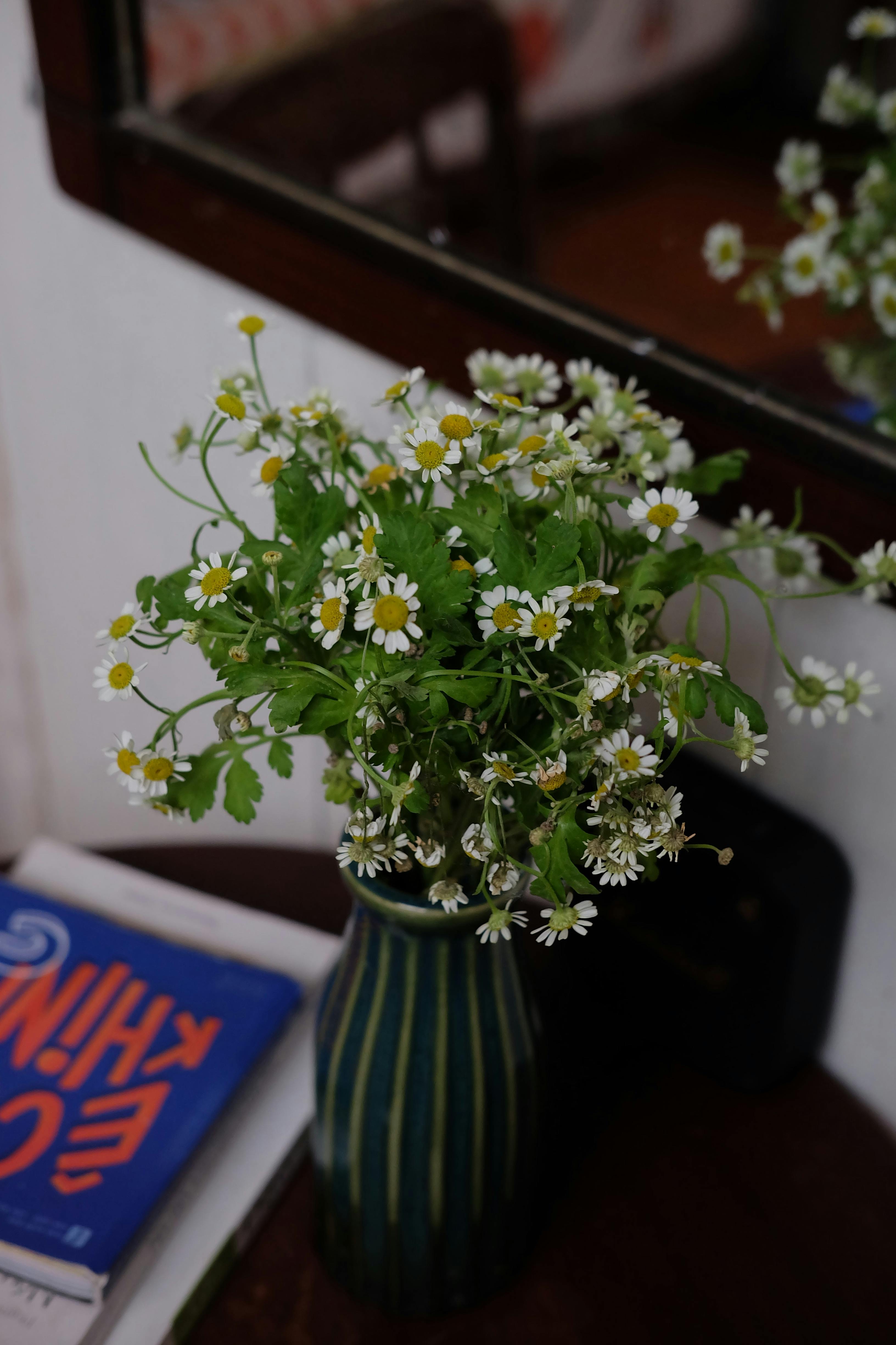 Homes+Syria+Wallpapers Photos, Download The BEST Free Homes+Syria ...