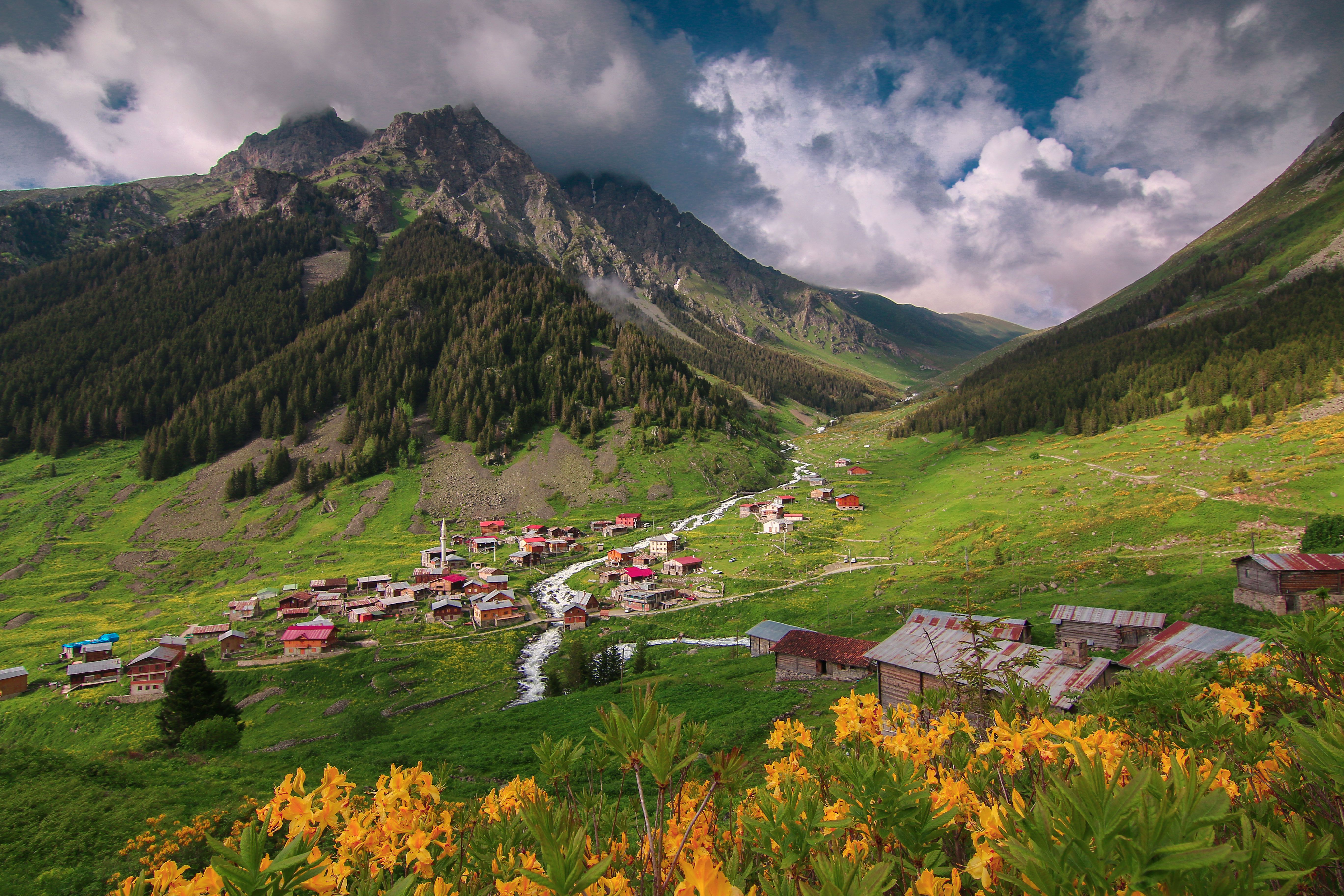 Scenic Village in Lush Green Valley of Rize, Turkey · Free Stock Photo