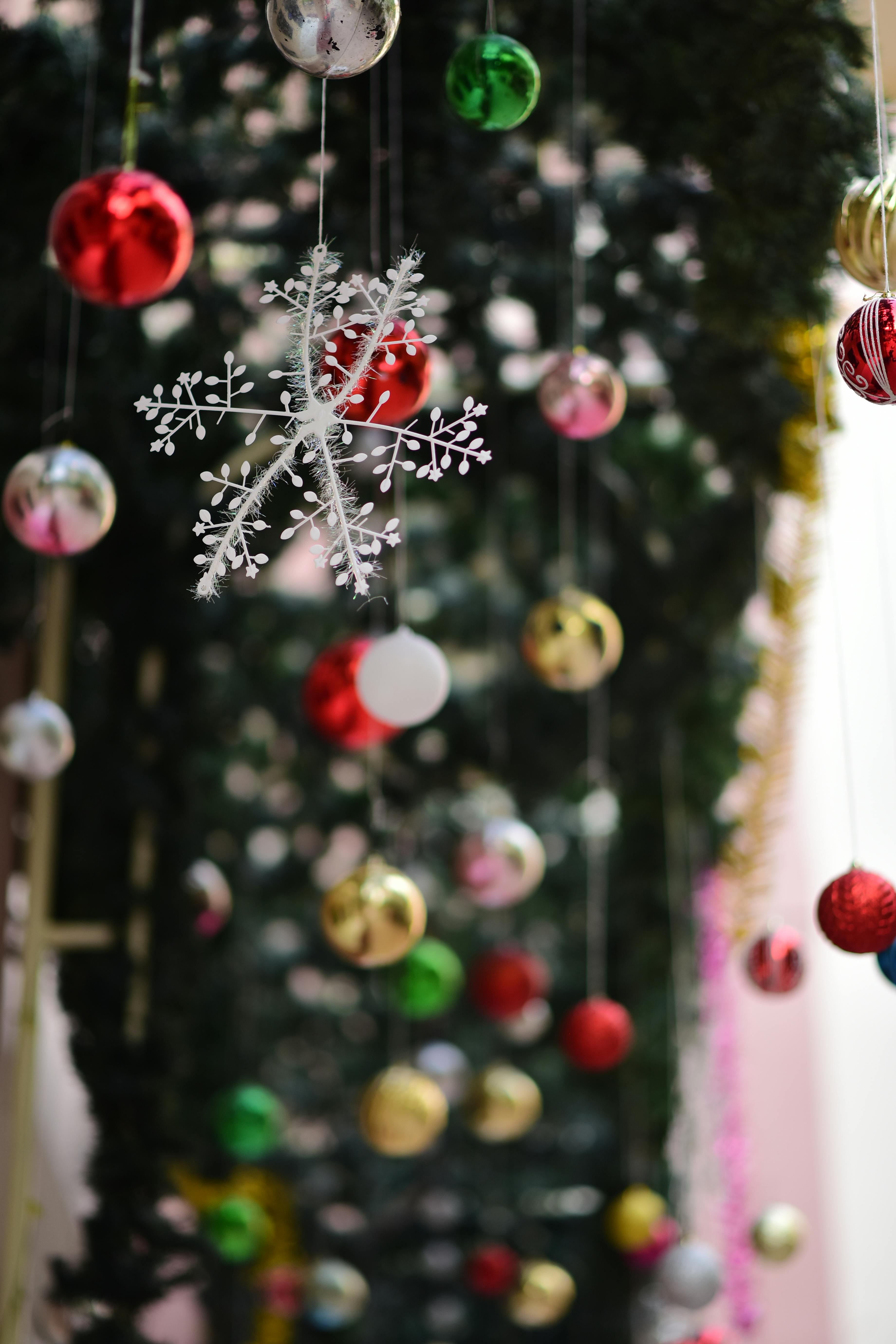 Christmas Phot Background Photos, Download The BEST Free Christmas Phot ...