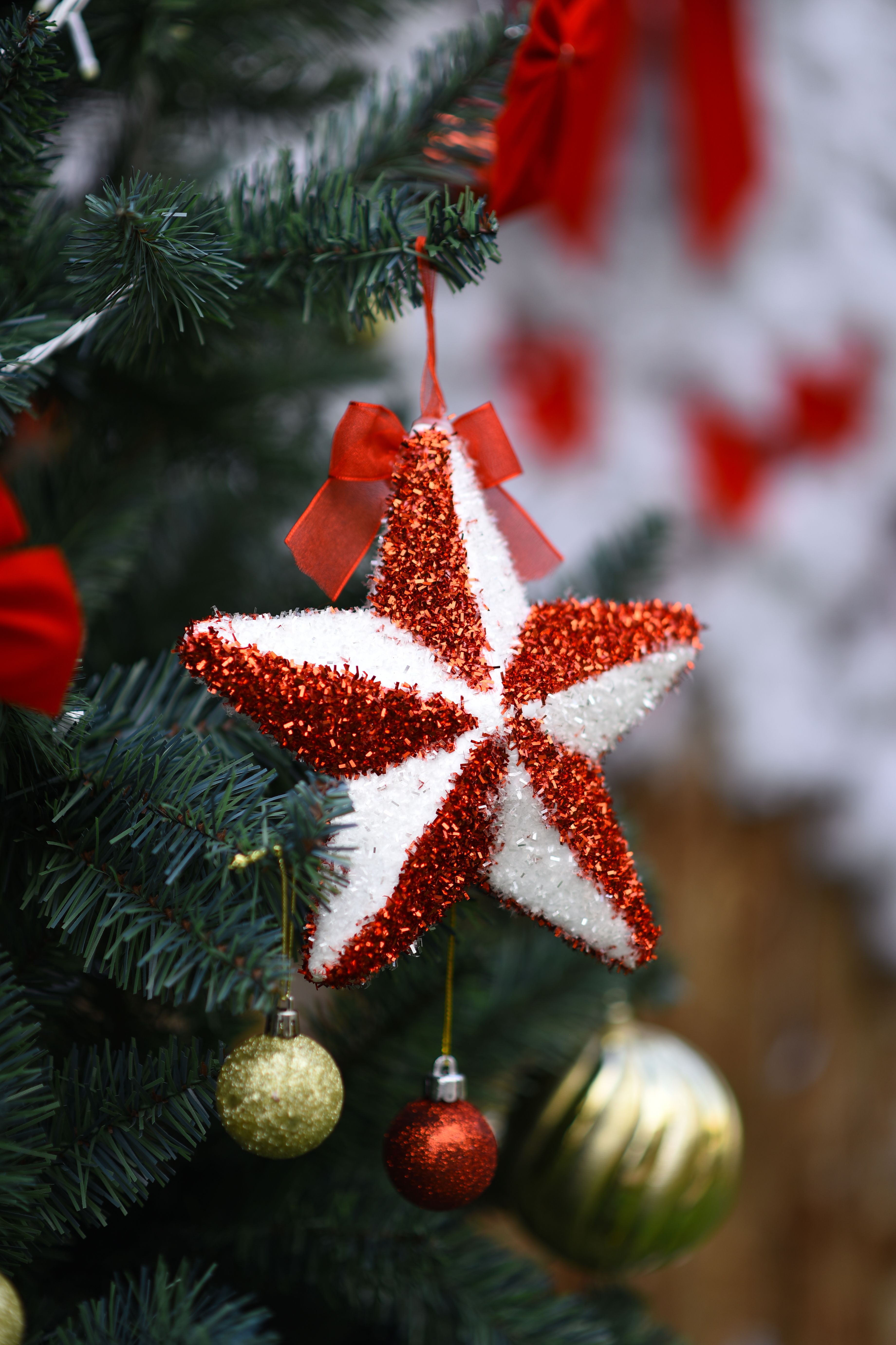 Selective Focus Photography of Star Ornament · Free Stock Photo