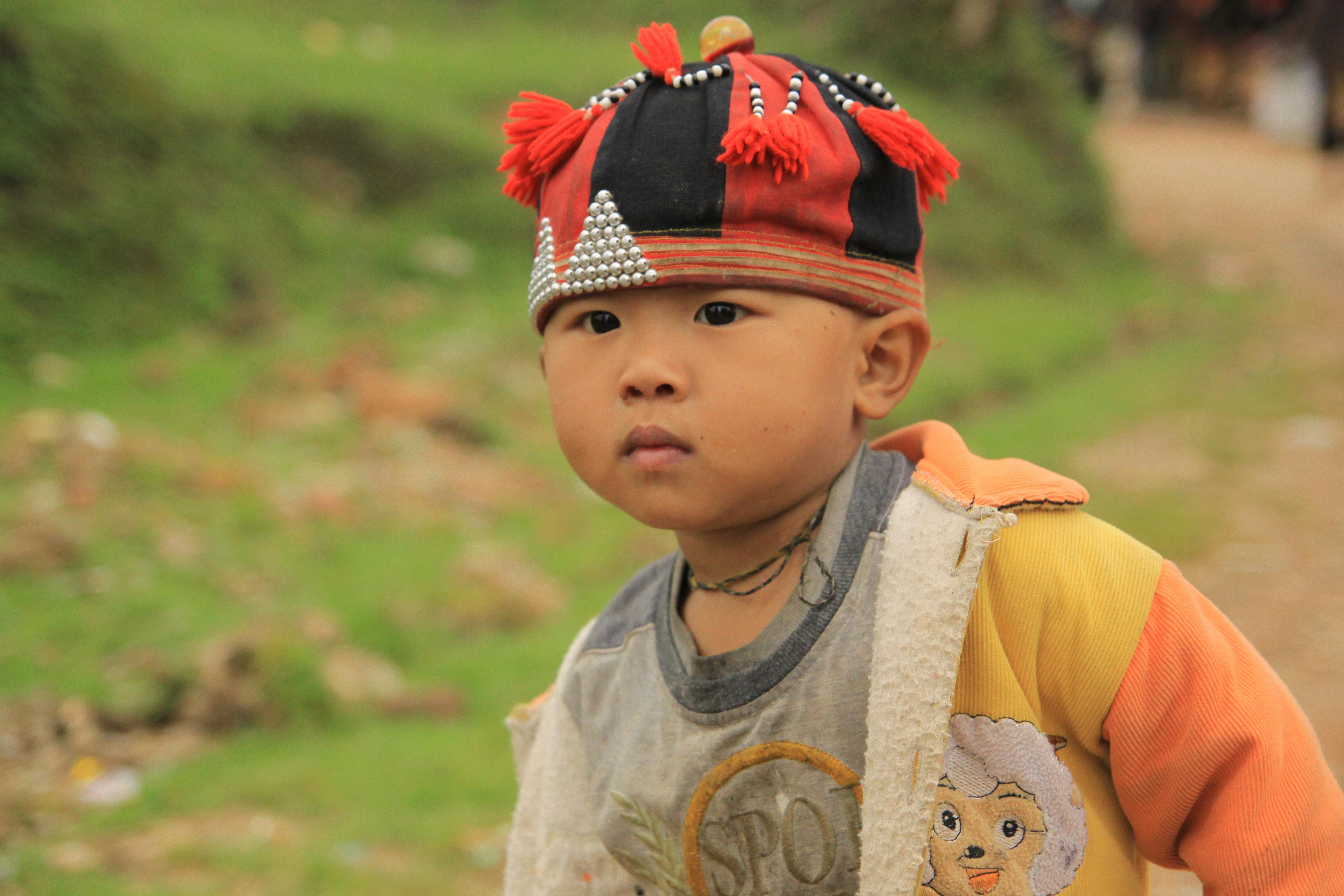 Asian+Pfp+Aesthetic Photos, Download The BEST Free Asian+Pfp+Aesthetic ...