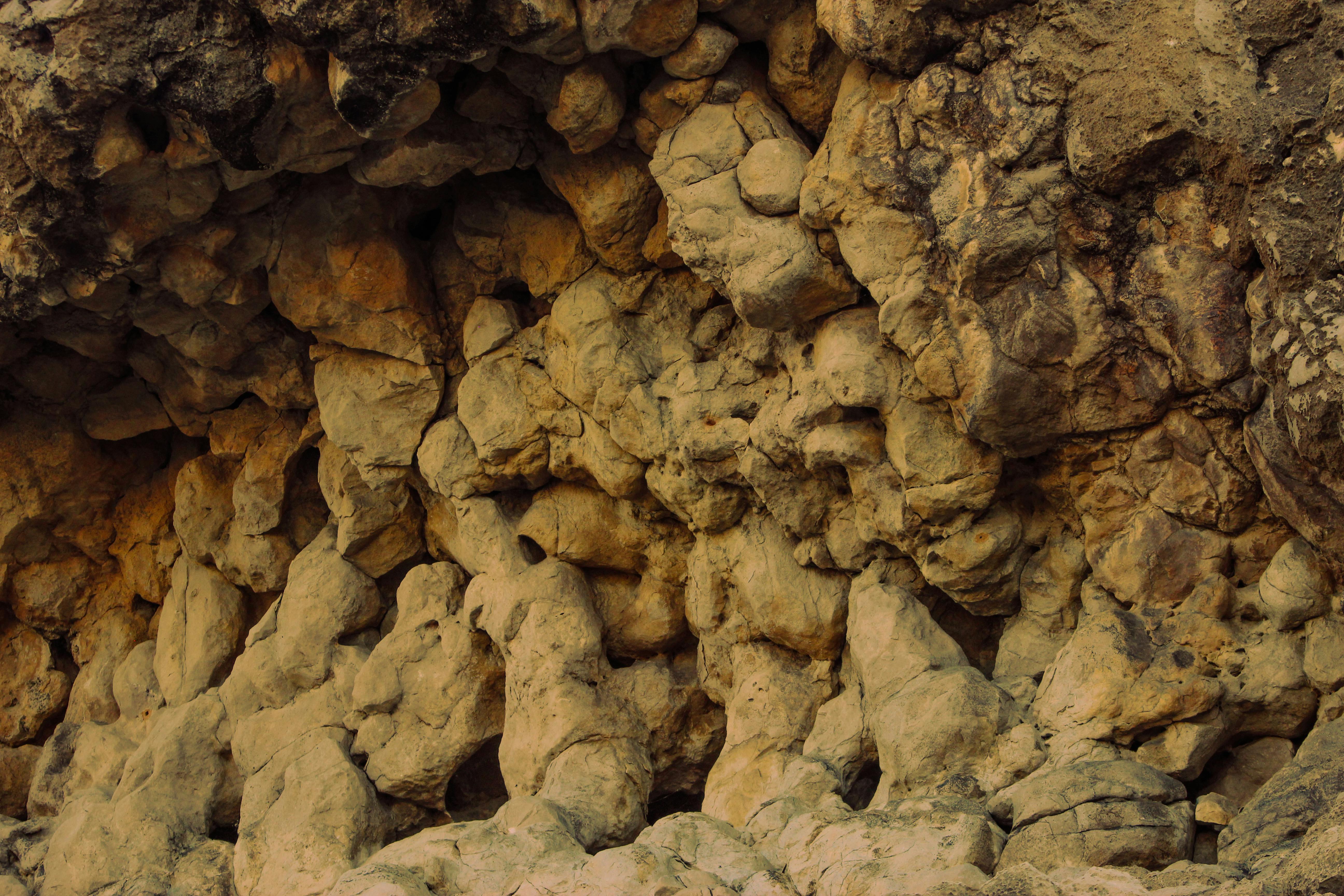 Google+Computer+Screen Photos, Download The BEST Free Google+Computer ...