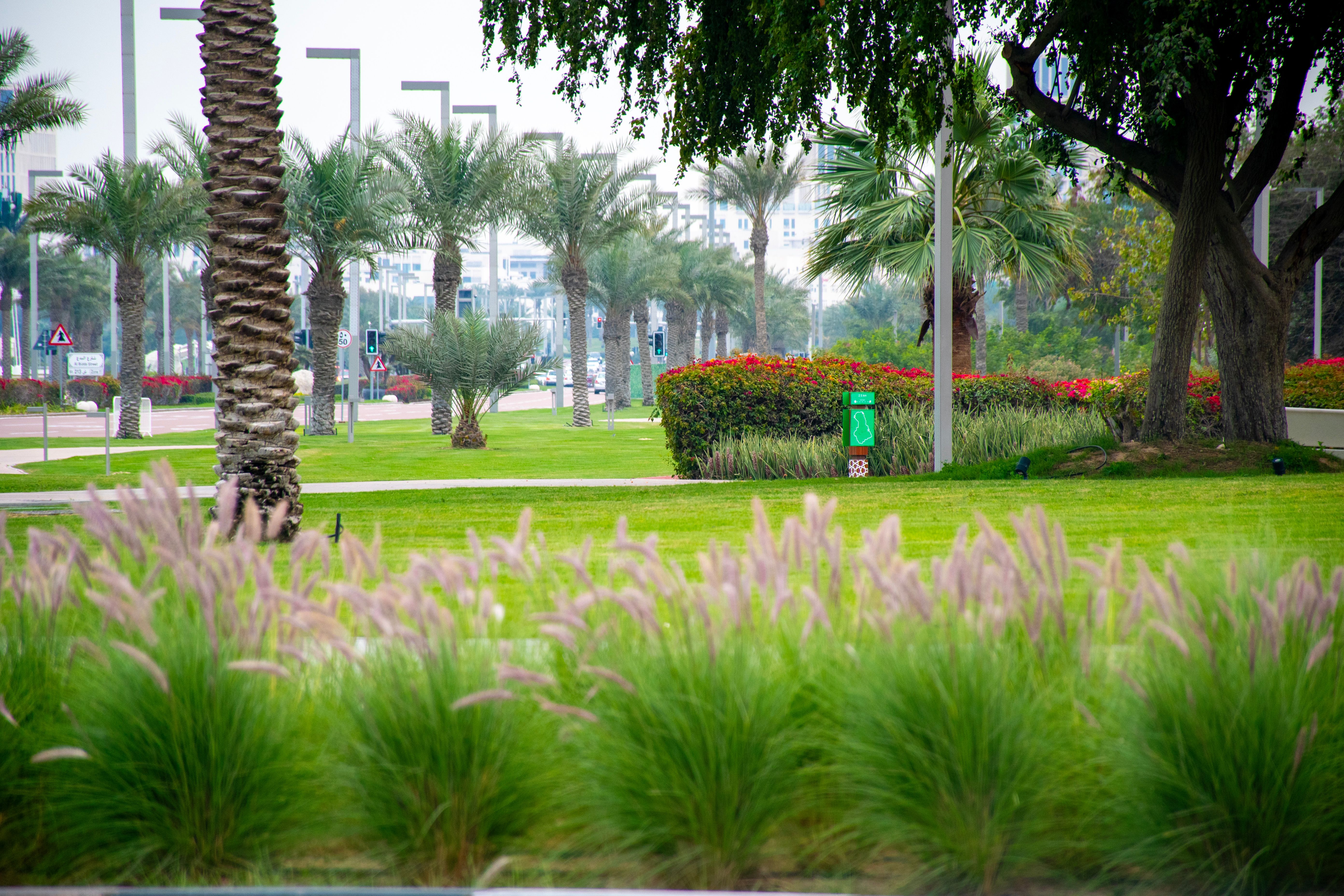 Grass Seef Photos, Download The BEST Free Grass Seef Stock Photos & HD ...