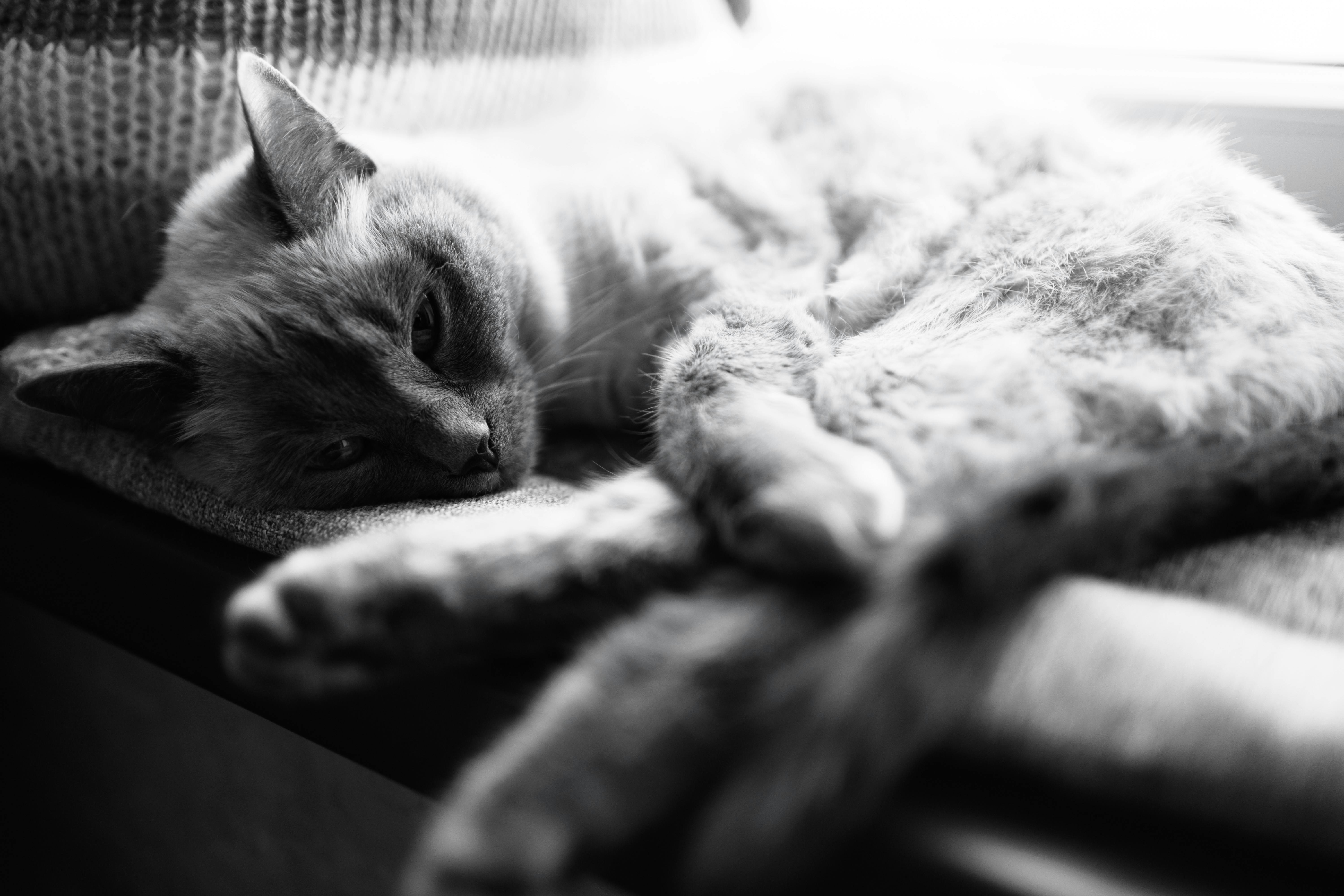 Tuff+Discord+Profile+Pictures Photos, Download The BEST Free Tuff ...