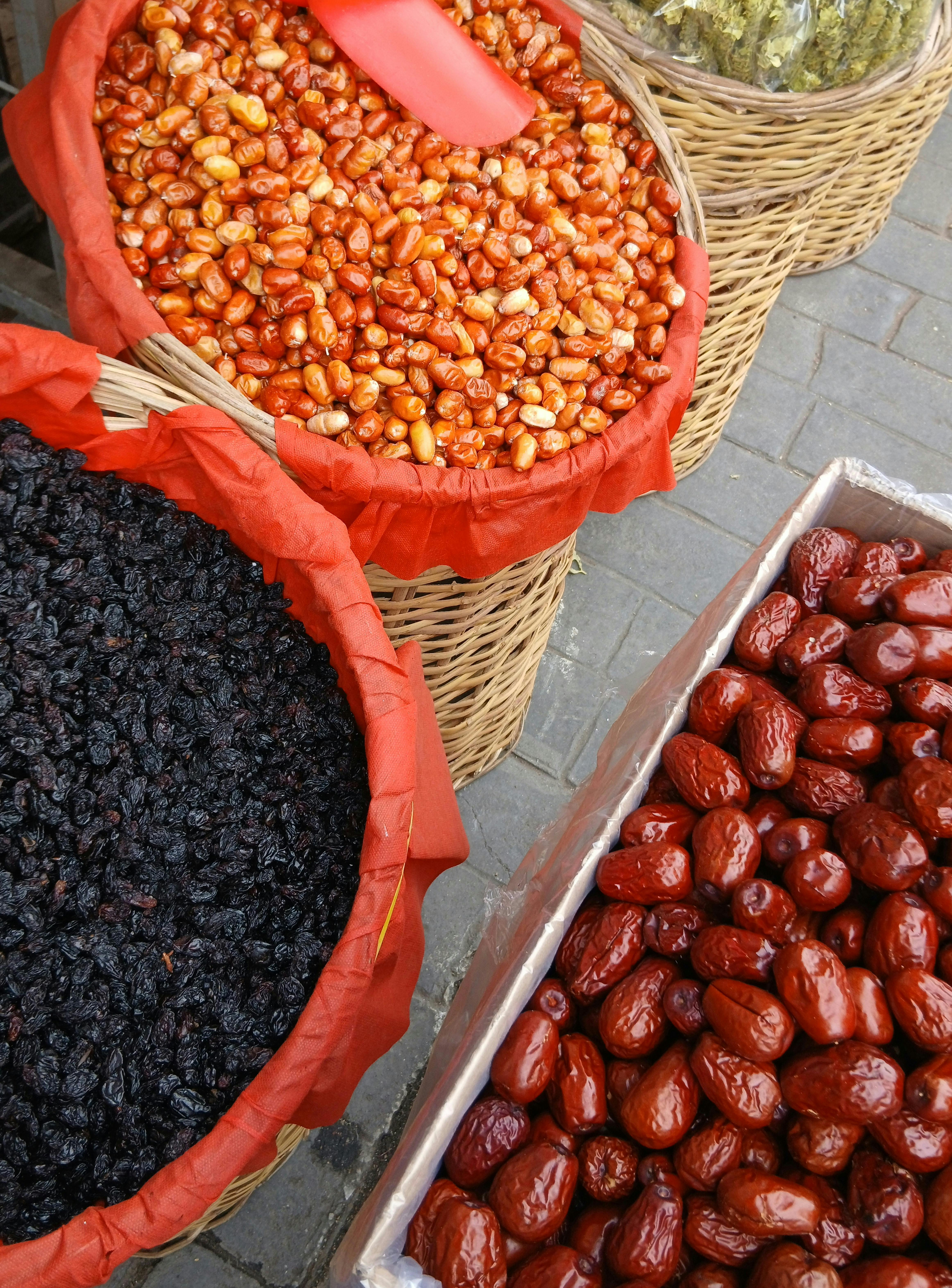 Dark+Panthera+Black+Women+Pics Photos, Download The BEST Free Dark ...