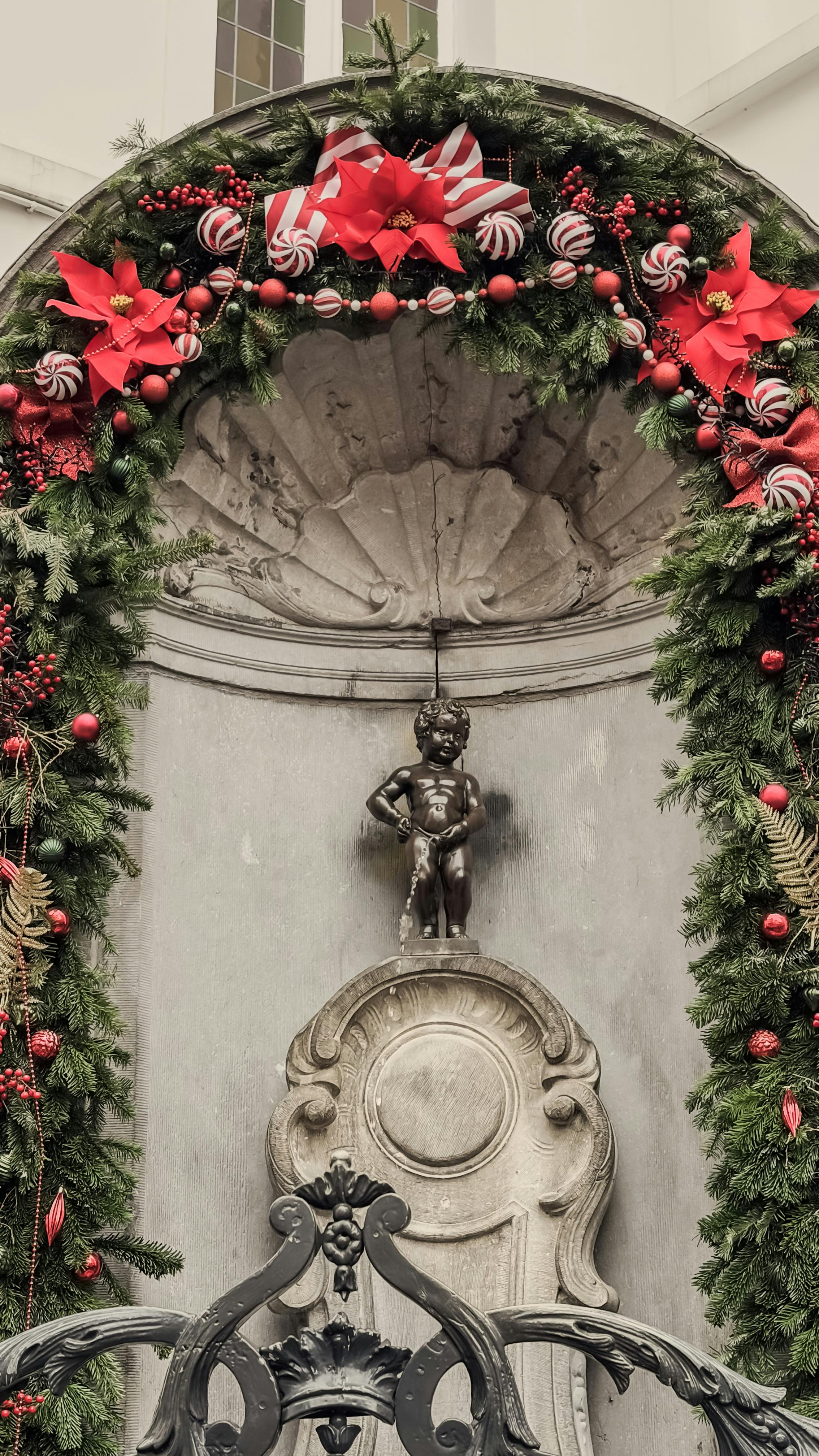 Christmas Reef Photos, Download The BEST Free Christmas Reef Stock ...